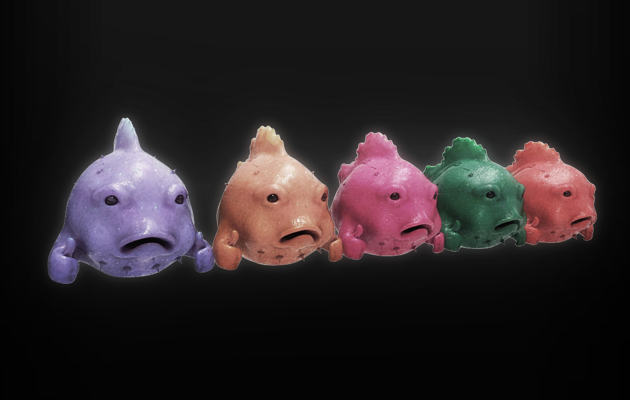 ArtStation - Cyclopteridae