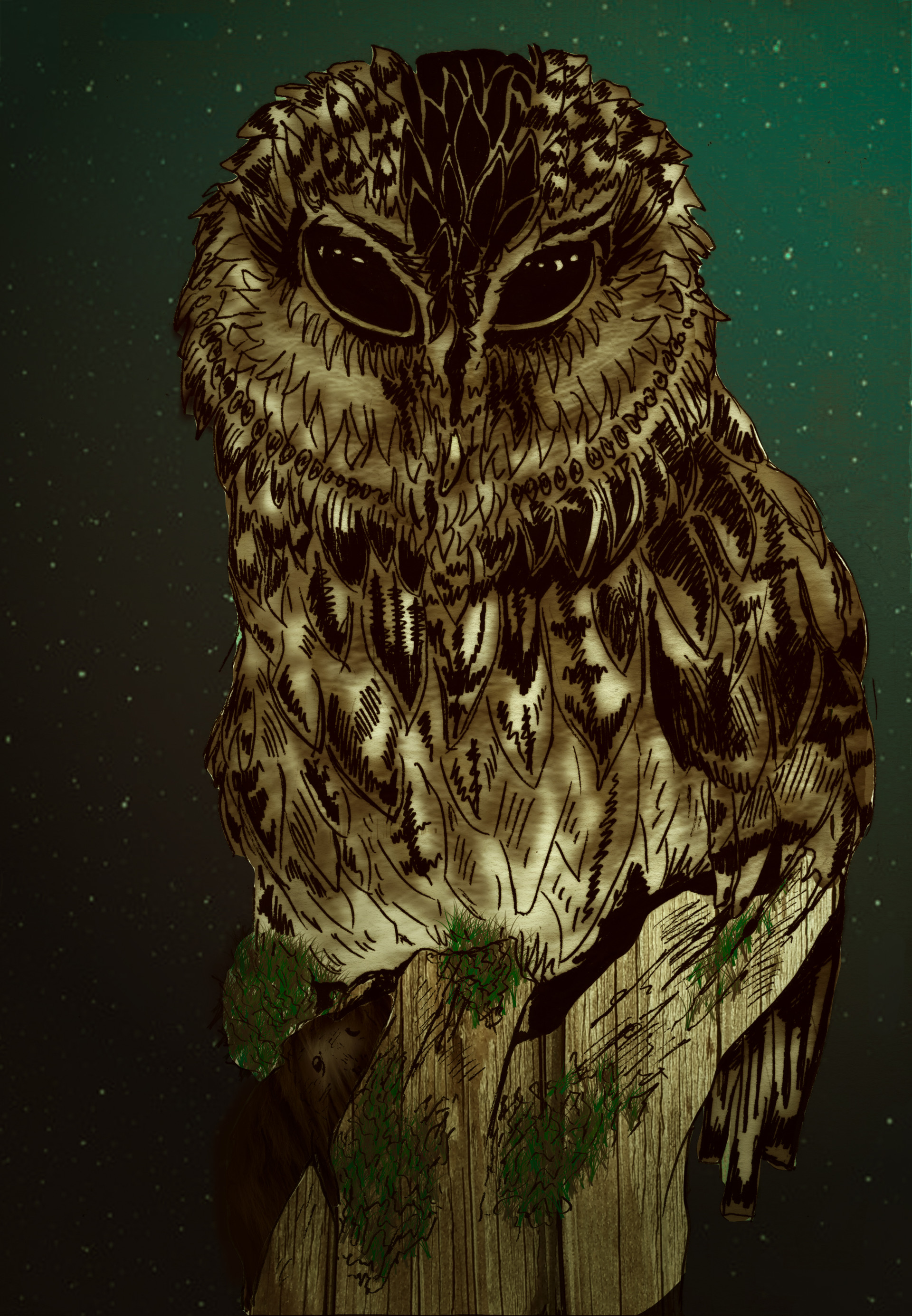 ArtStation - Midnight Owl