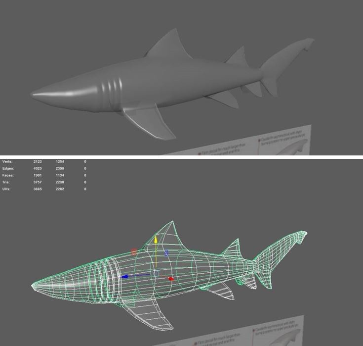 ArtStation - Shark Model