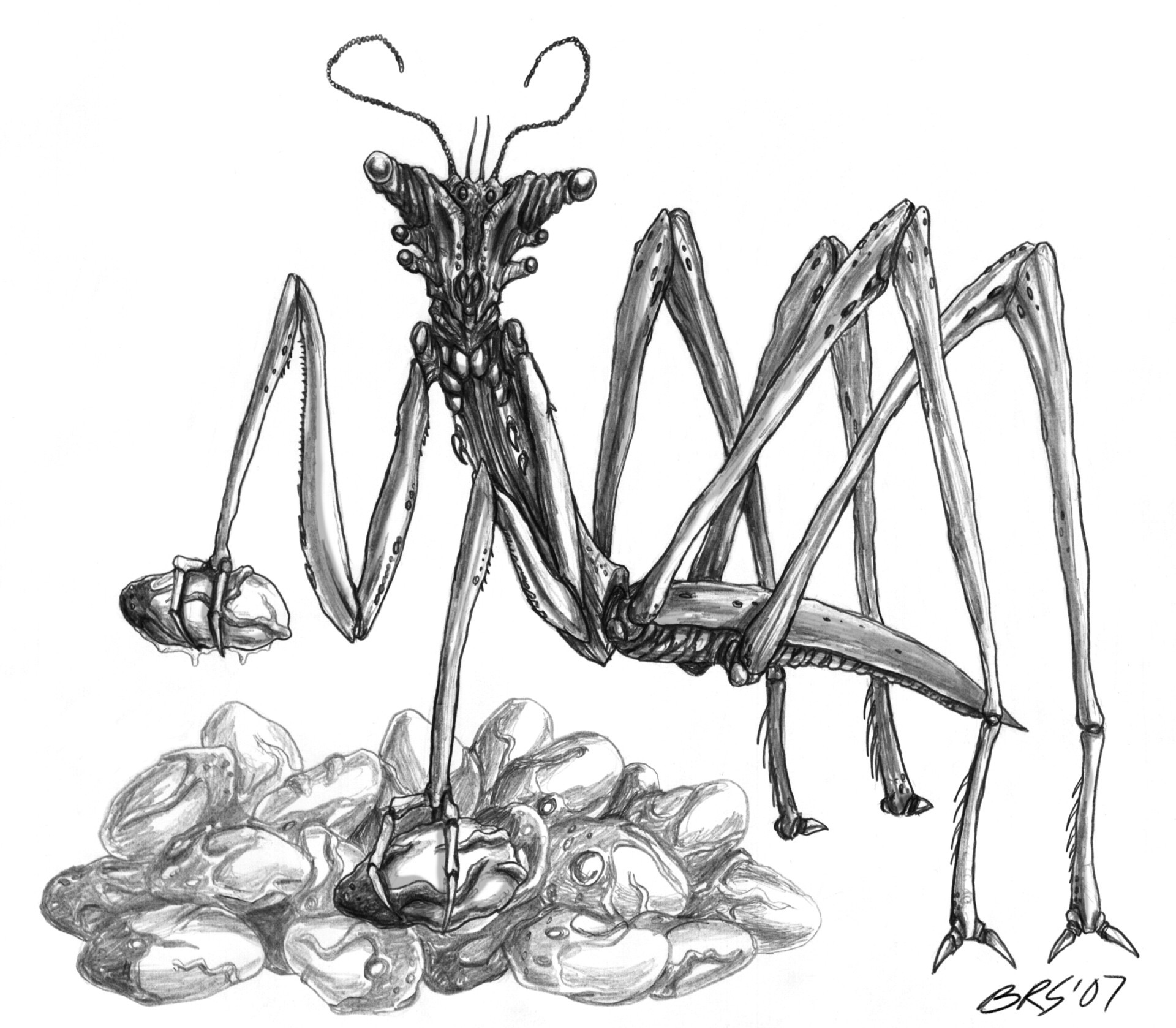 Bernard Schmalzried - Galactic Conquest: Creatures