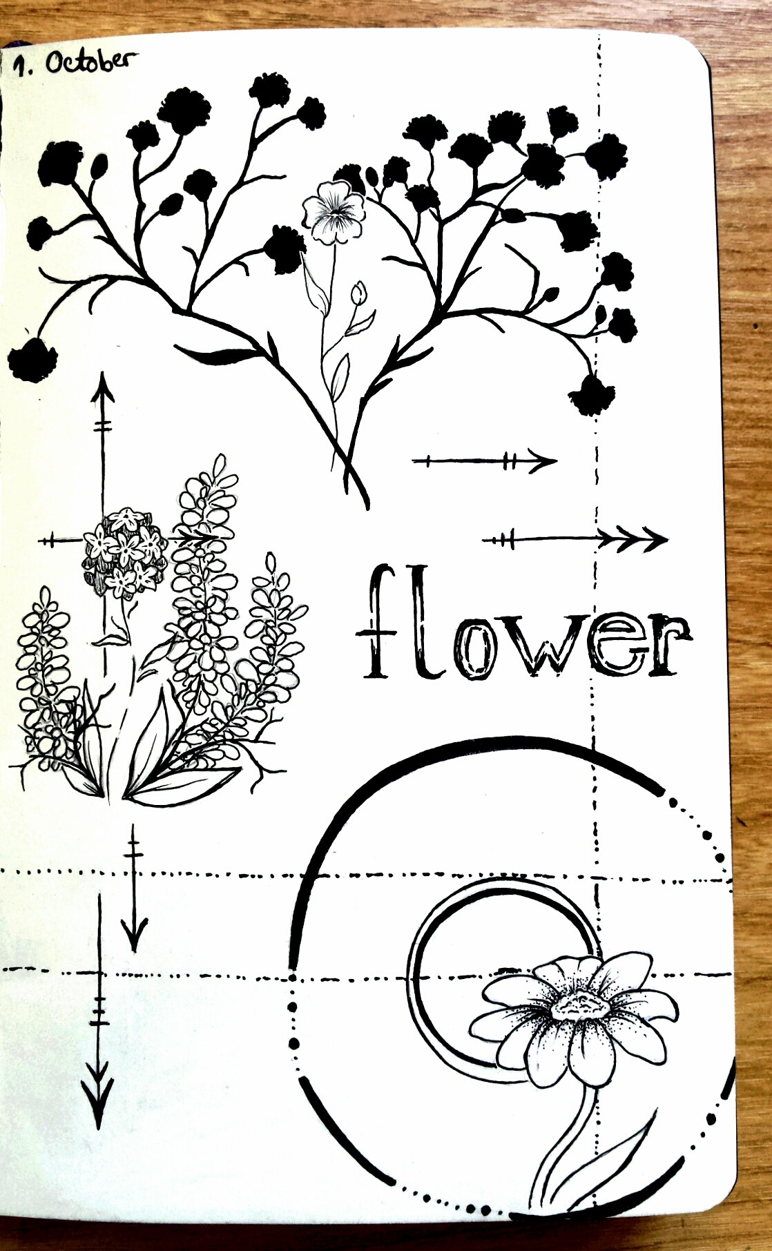 ArtStation - Inktober Day 1 - Flowers