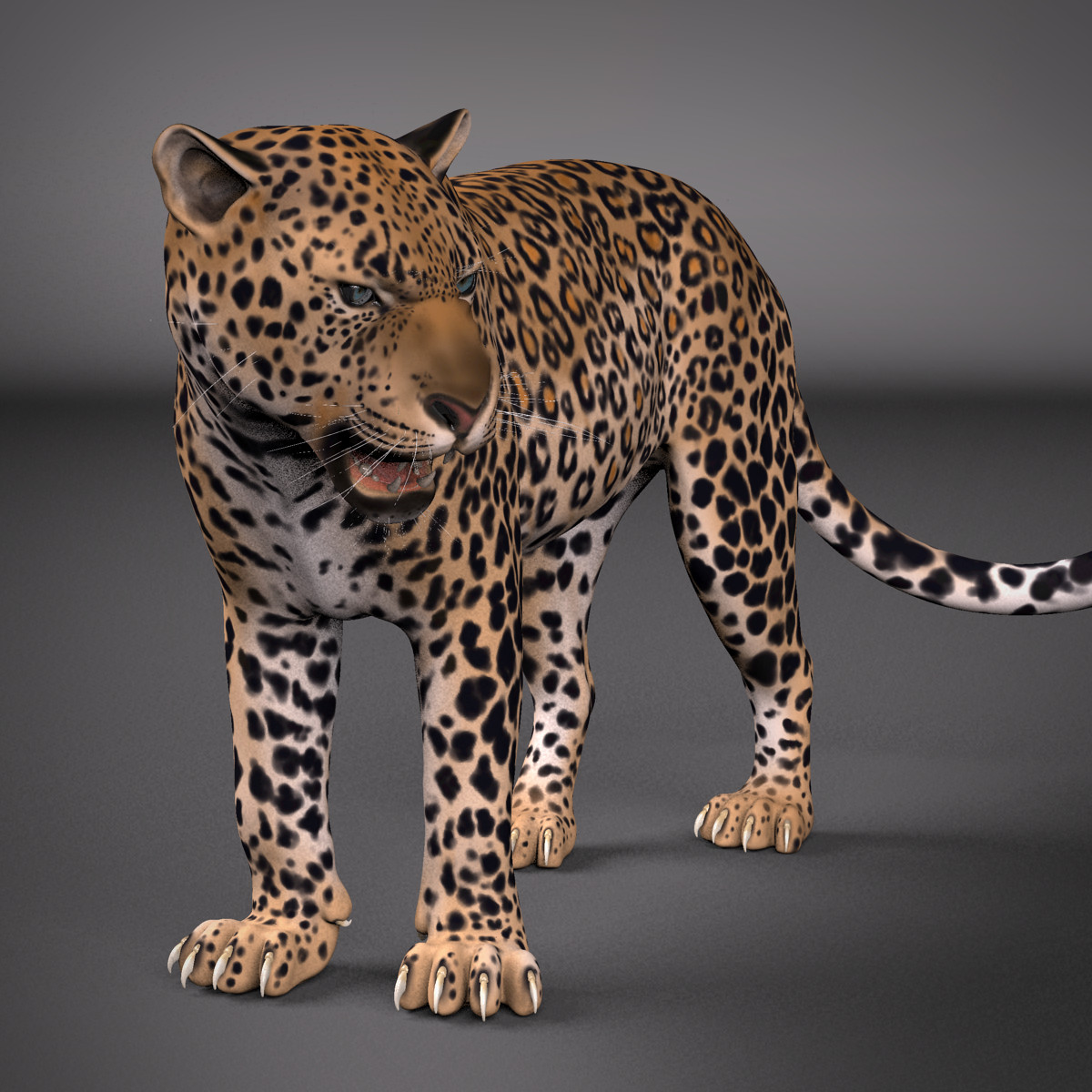 Truong CG Artist - Leopard Maya Rig