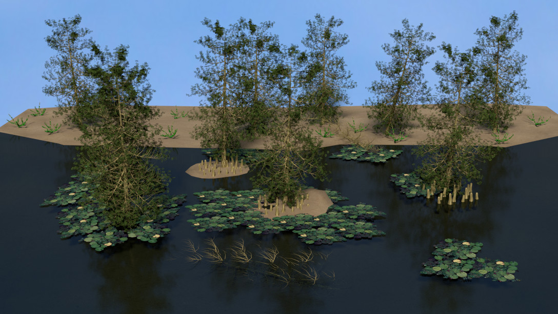 ArtStation - Swamp Scene (-Work in progress)