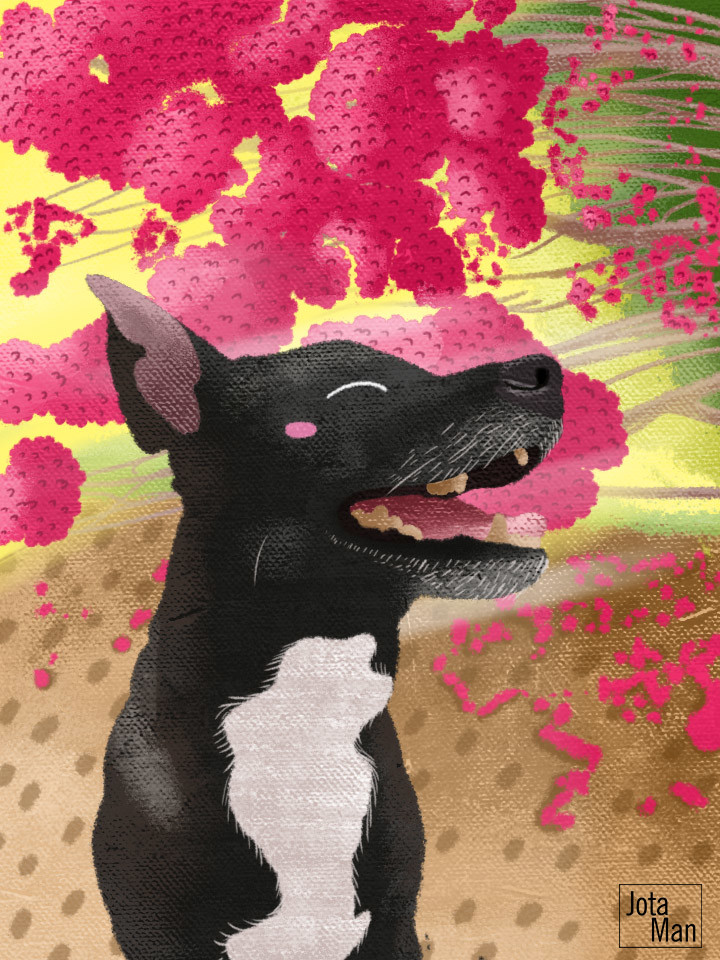 ArtStation - perrito