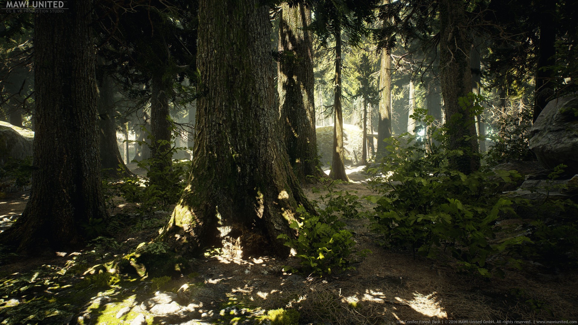 MAWI United - UE4 Conifer Forest V2