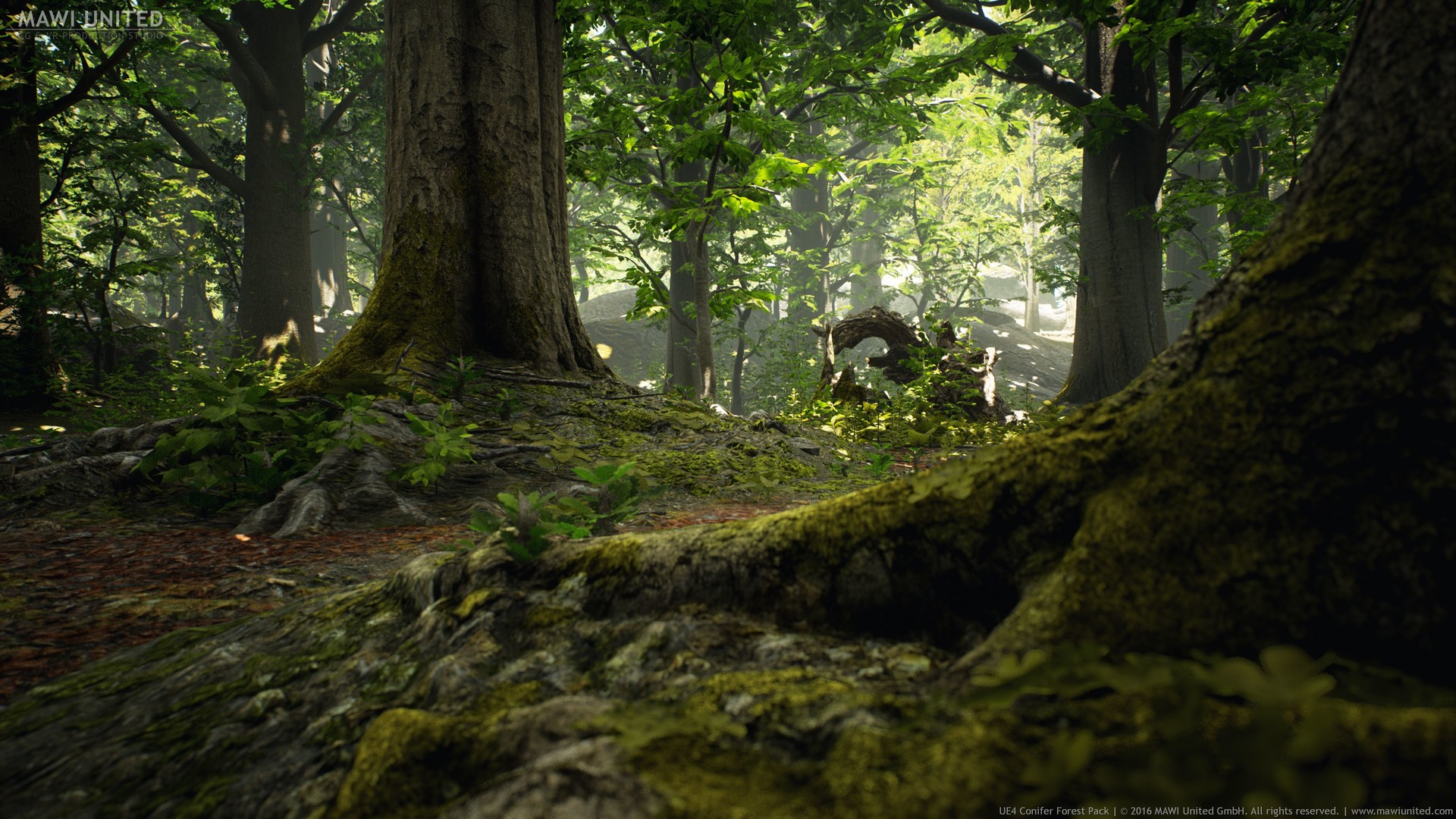 MAWI United - UE4 Broadleaf Forest V2