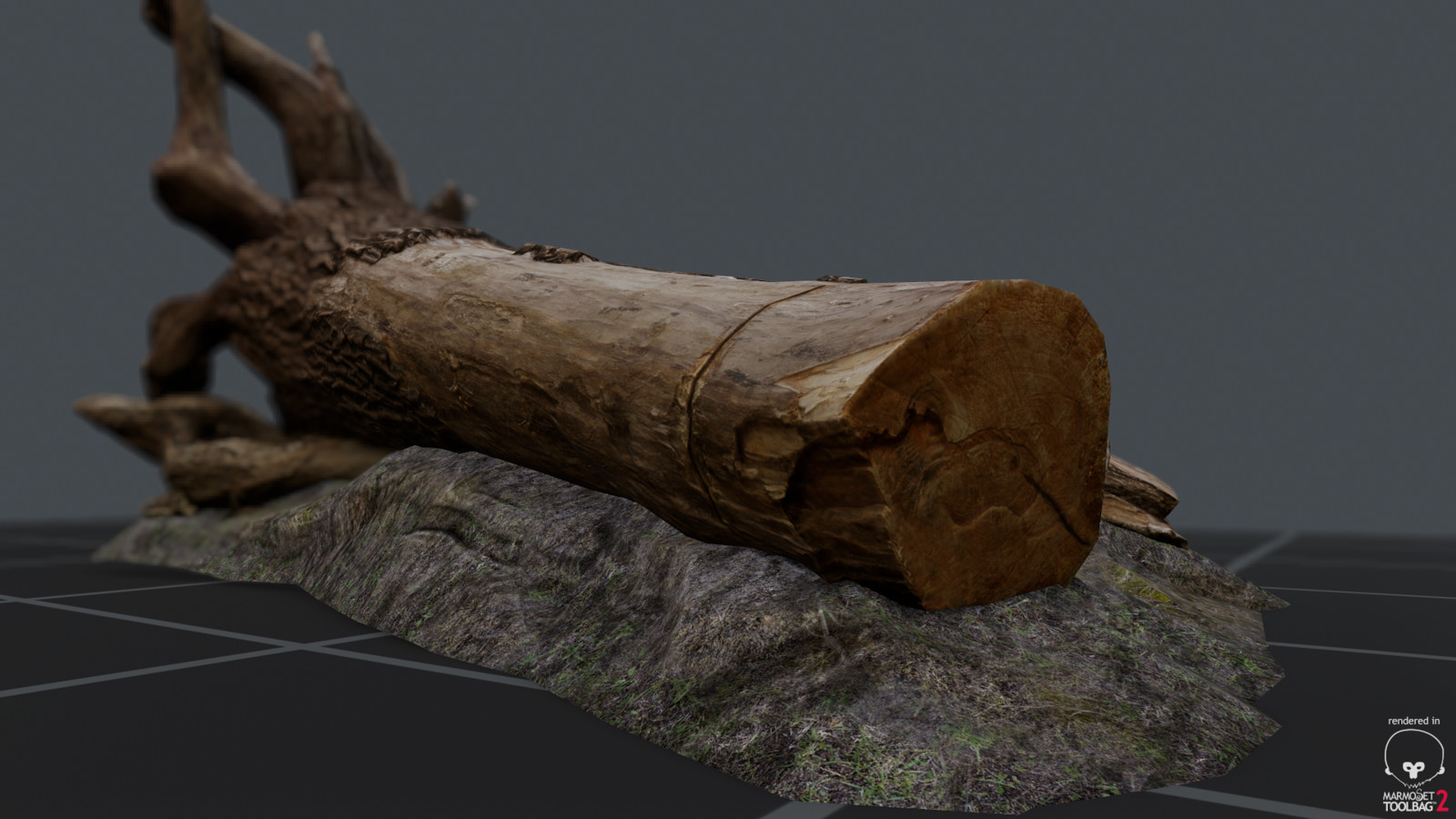 Denis Setevoy - Dead tree. Scan photogrammetry