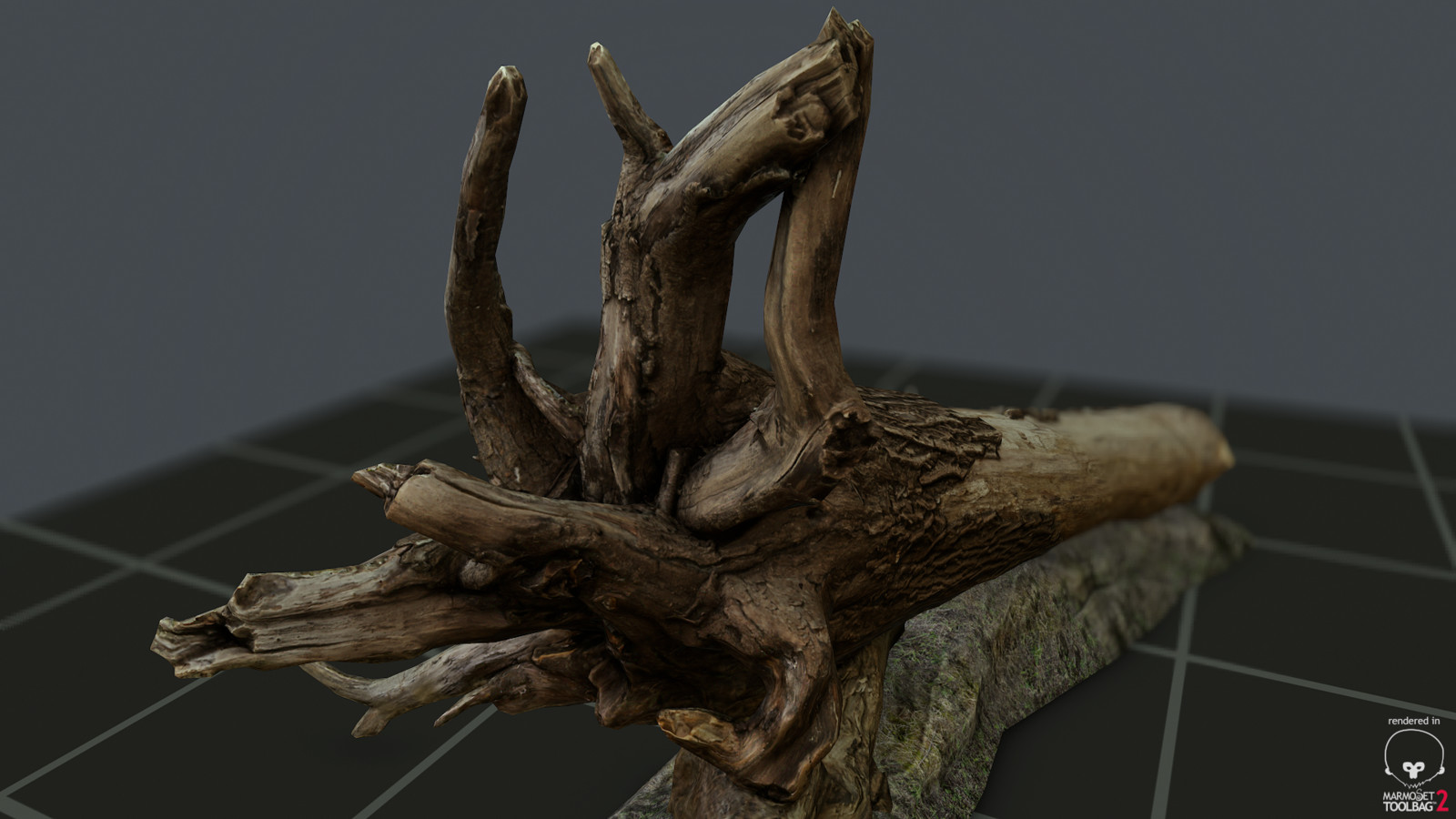 Denis Setevoy - Dead tree. Scan photogrammetry