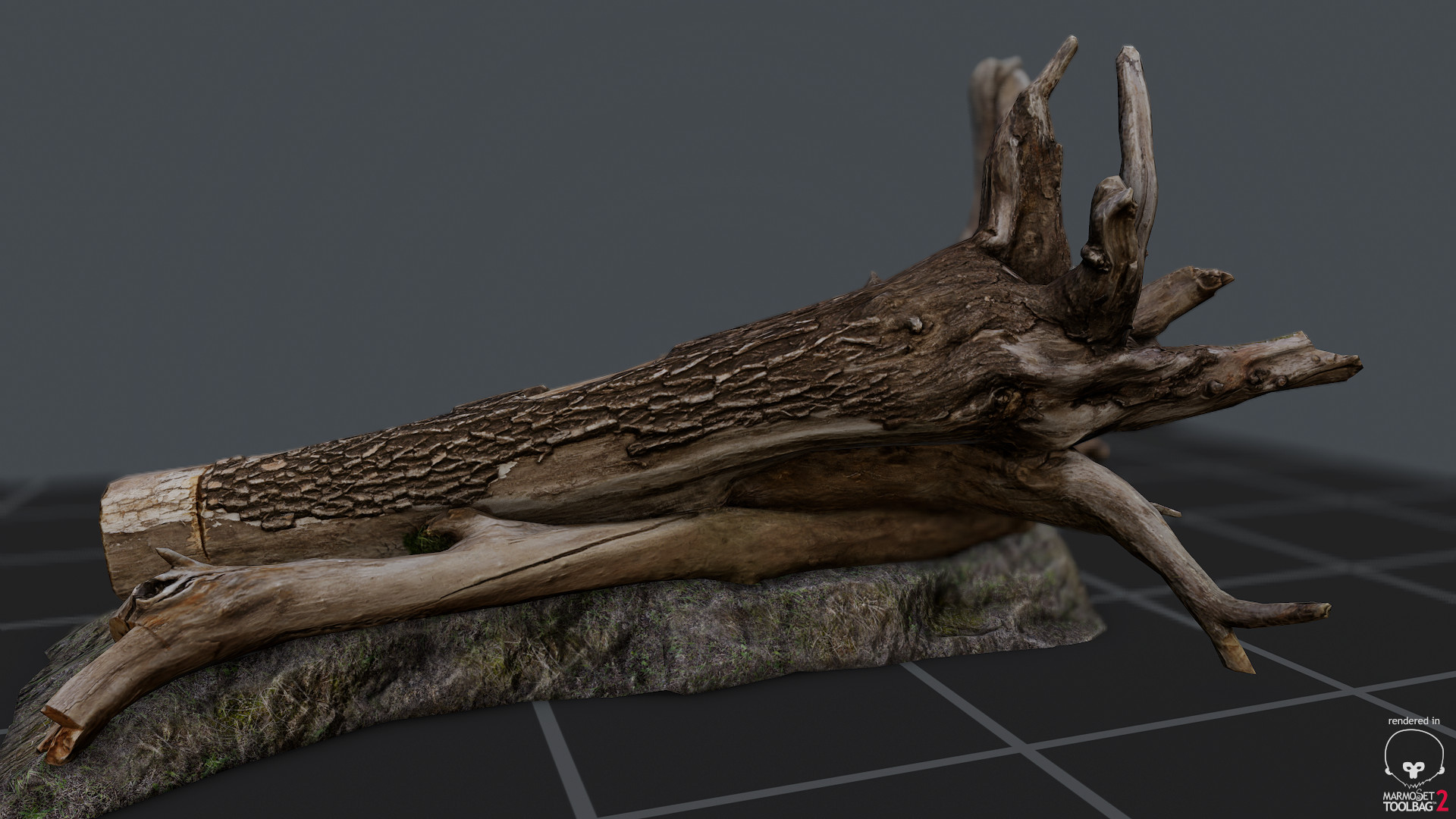 Denis Setevoy - Dead tree. Scan photogrammetry