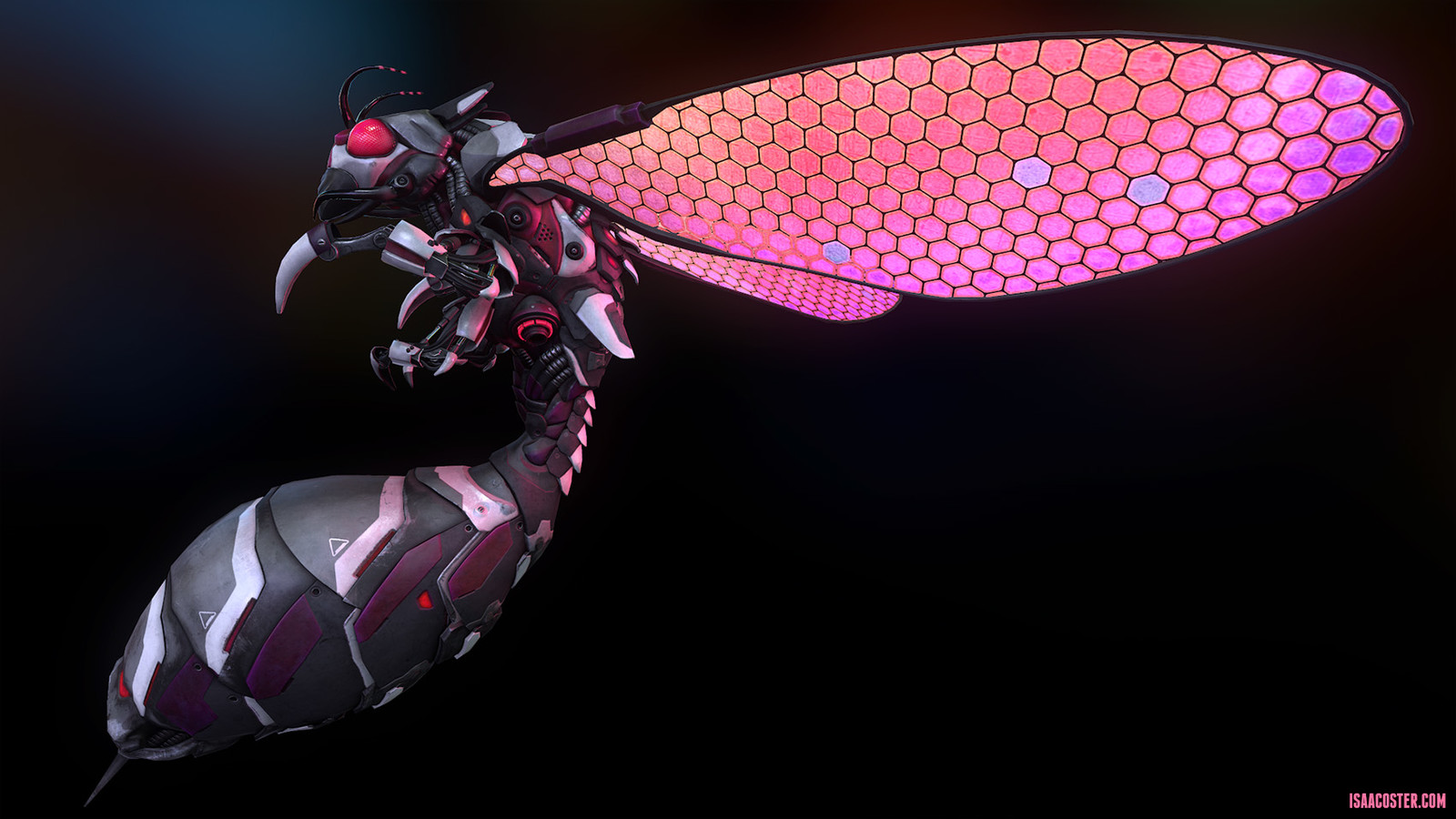 Isaac Oster - Fruit Fly