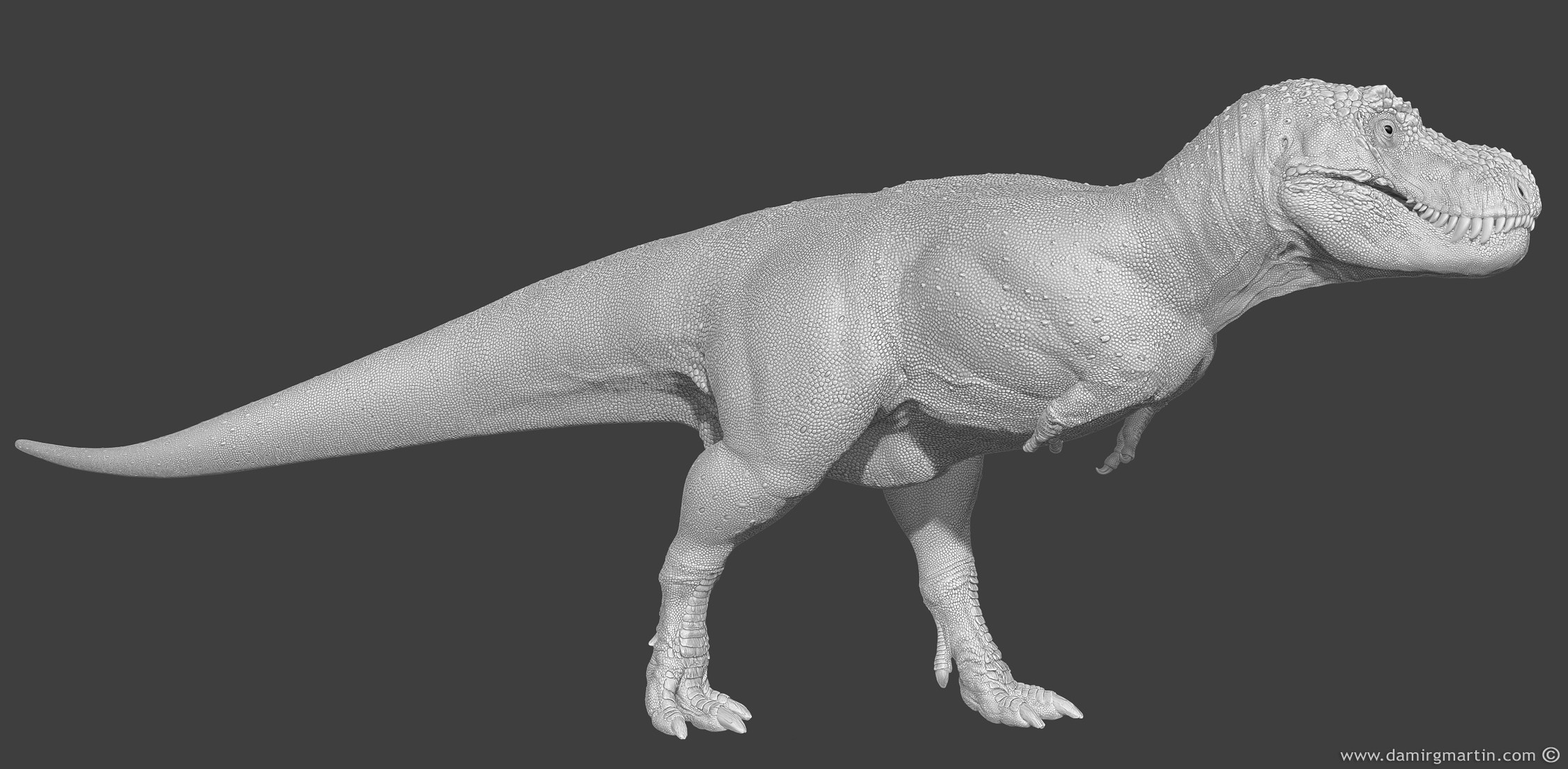 Damir G Martin - Super Predator