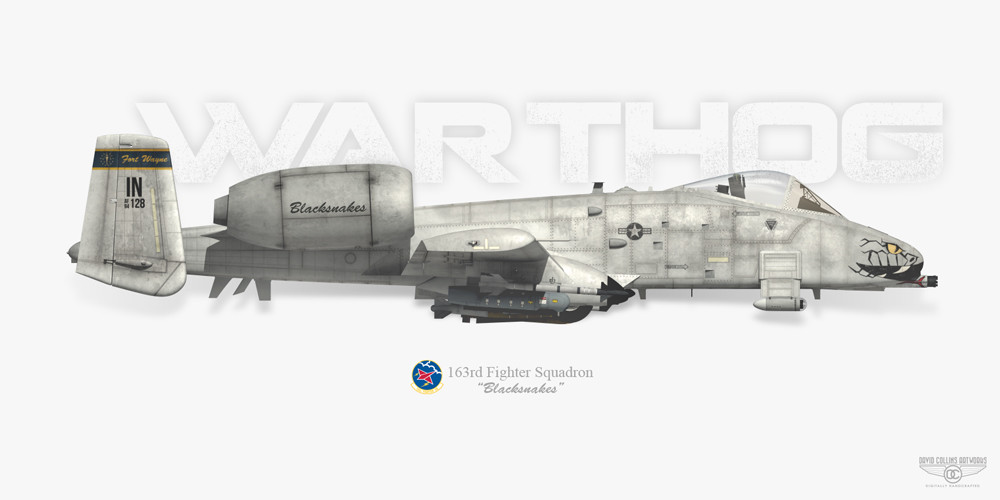 David Collins - The HAWG - A-10