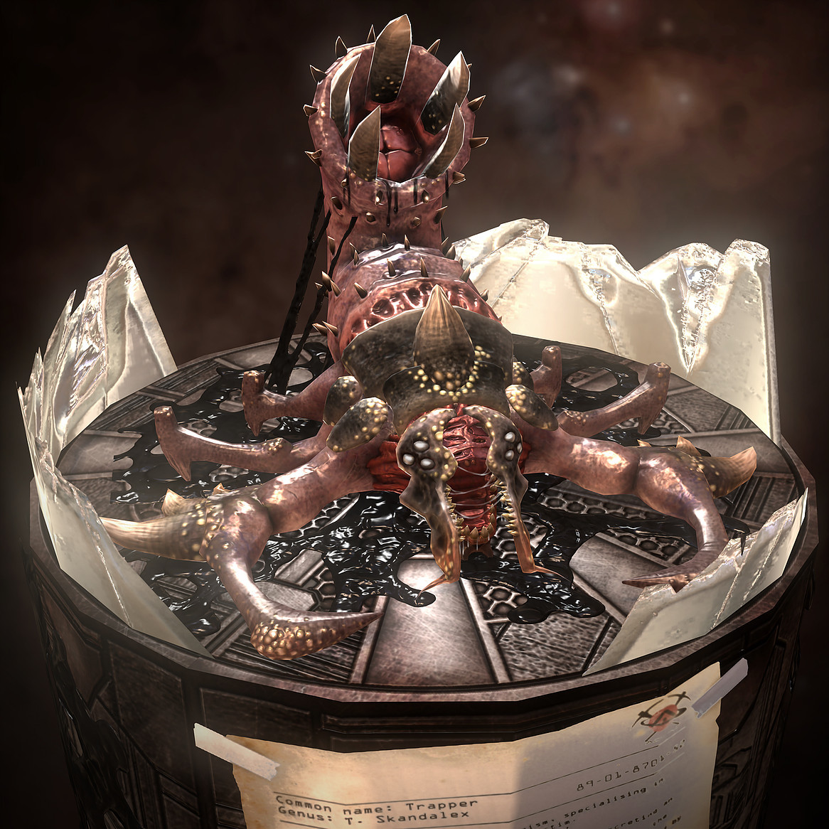 Daniel McCarthy - Trapper - Unvanquished