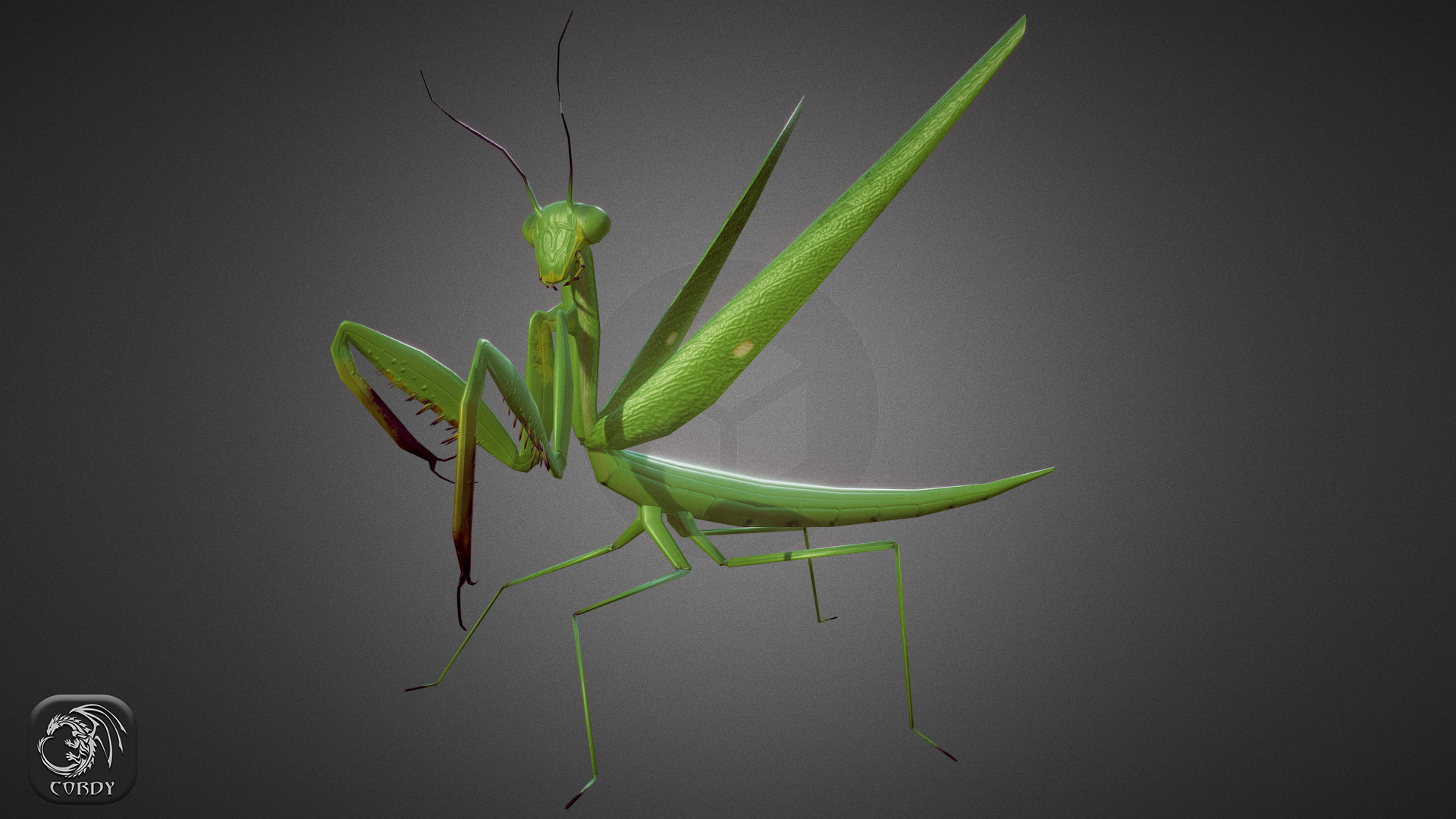 ArtStation - Praying Mantis Rigged in hunting pose