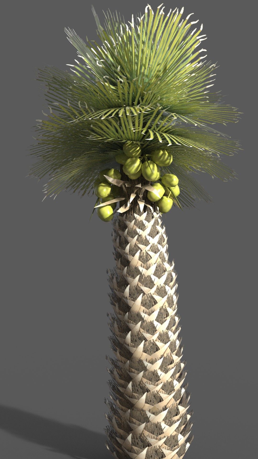 ArtStation - Palm Tree
