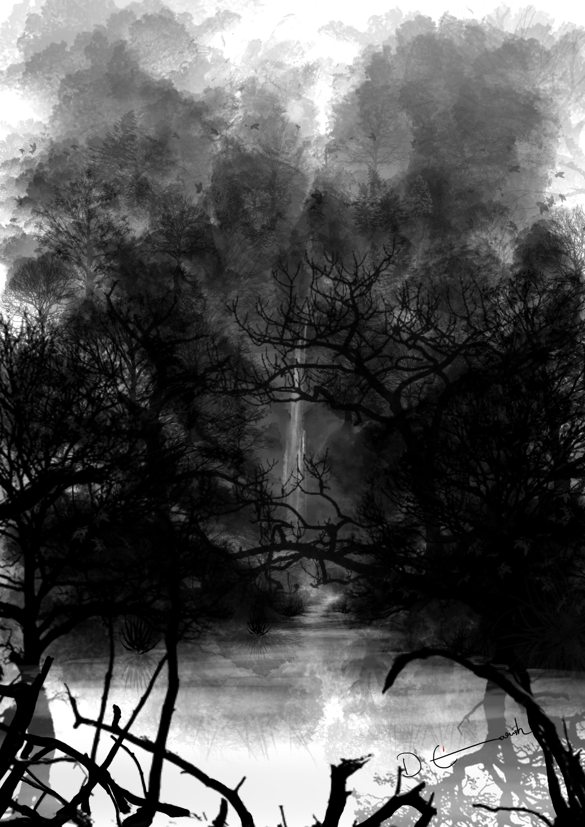 ArtStation - black&white FOREST