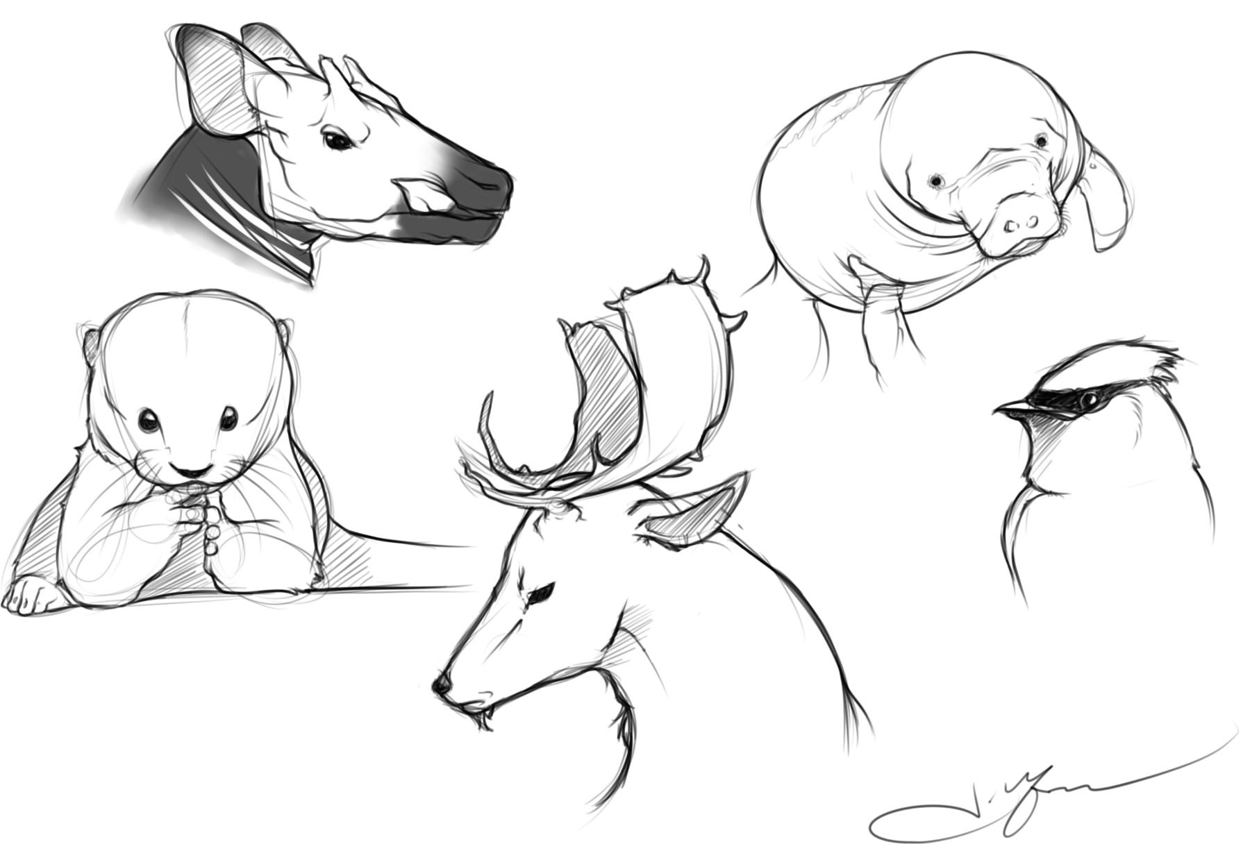 ArtStation - Animal Studies