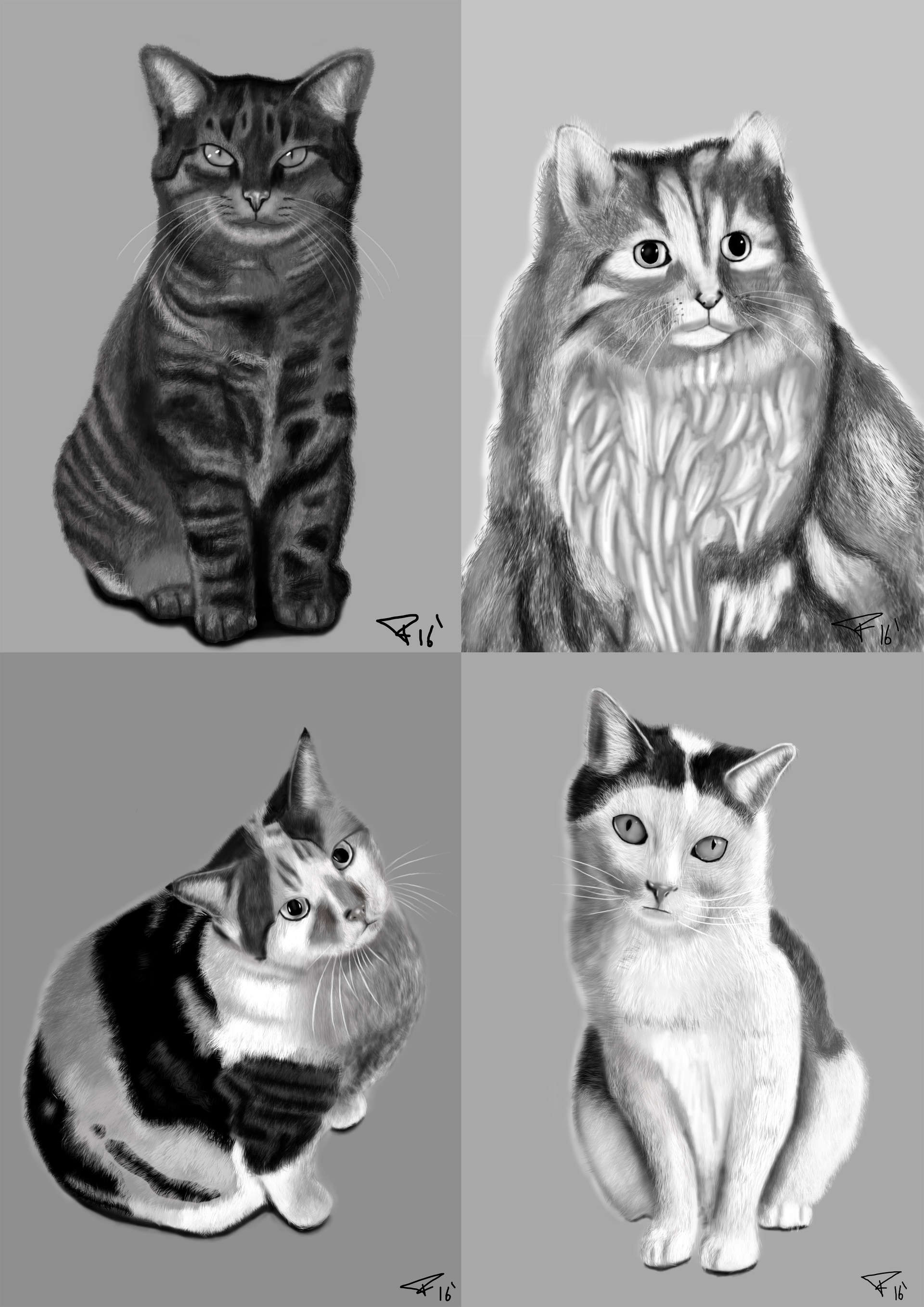 ArtStation - Cats
