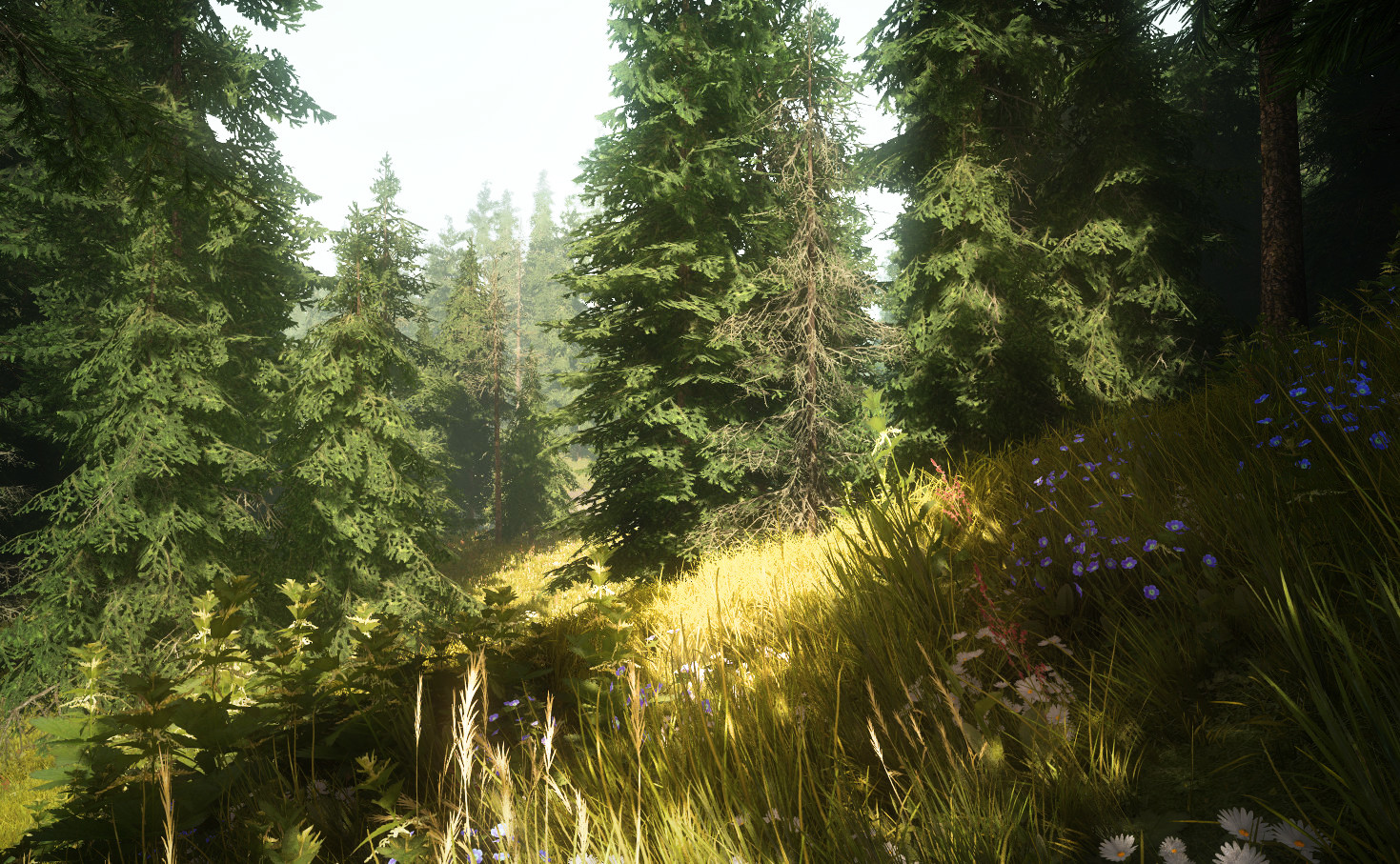 ArtStation - Wilderness Assets