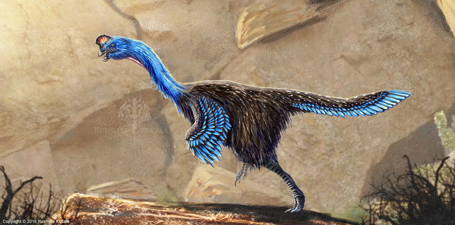 ArtStation - Citipati Osmolskae Restored