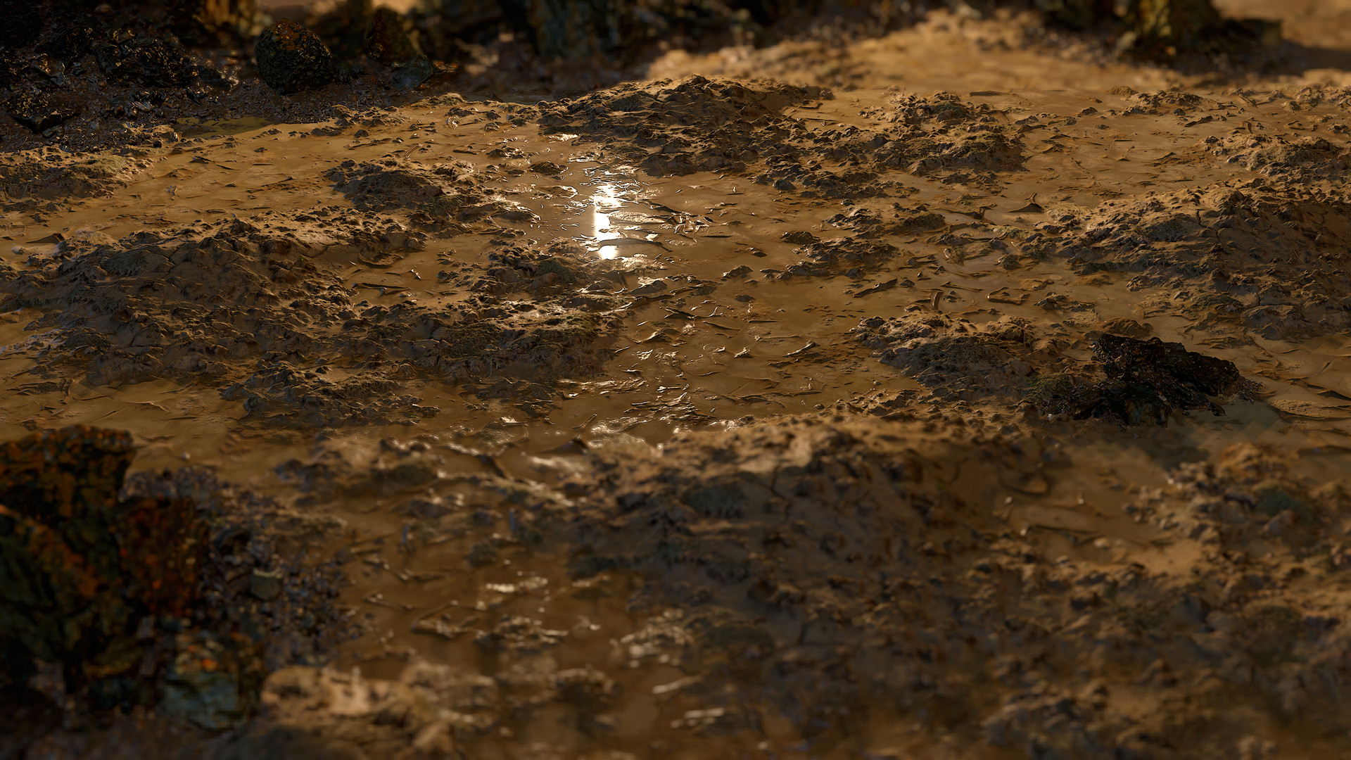 ArtStation - Mud Soil Texture (Megascans)