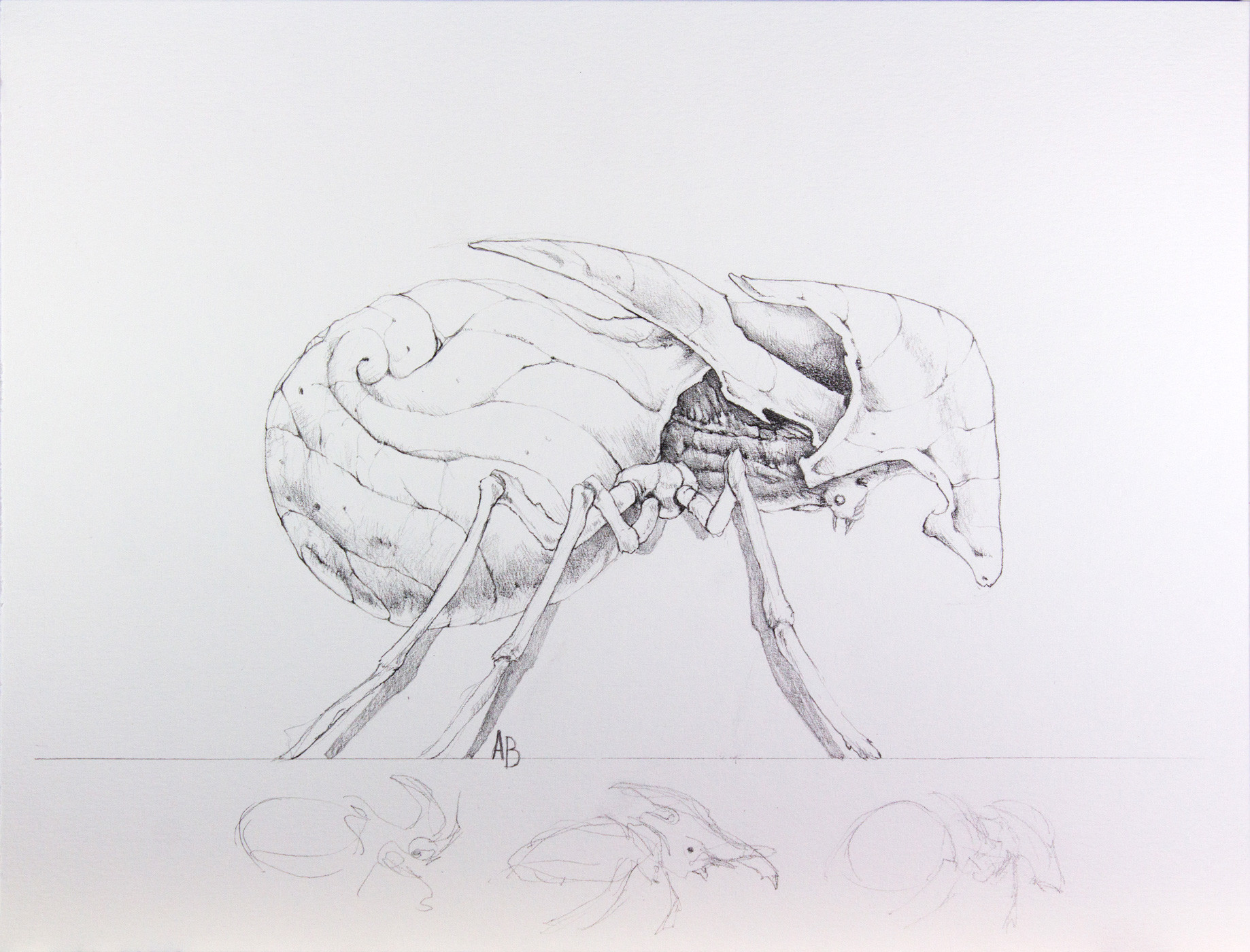 ArtStation - Giant Insects