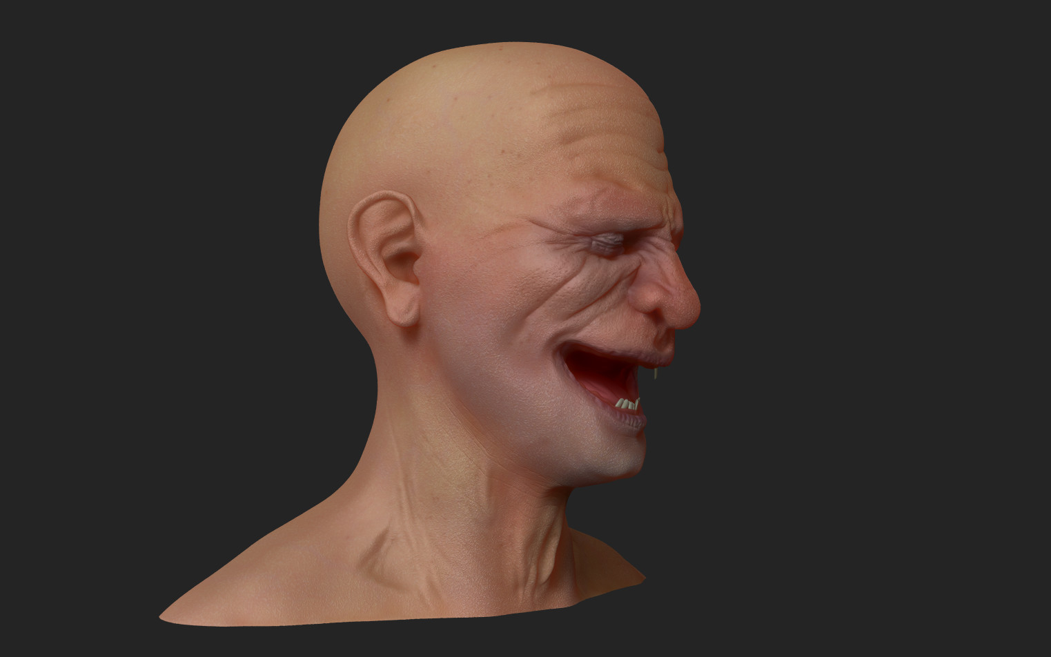 Finlay Mauchline - Old Man Face Study