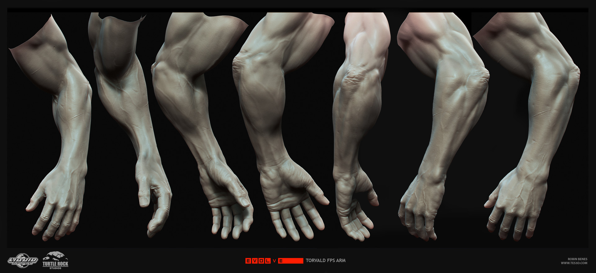 robin benes - Evolve