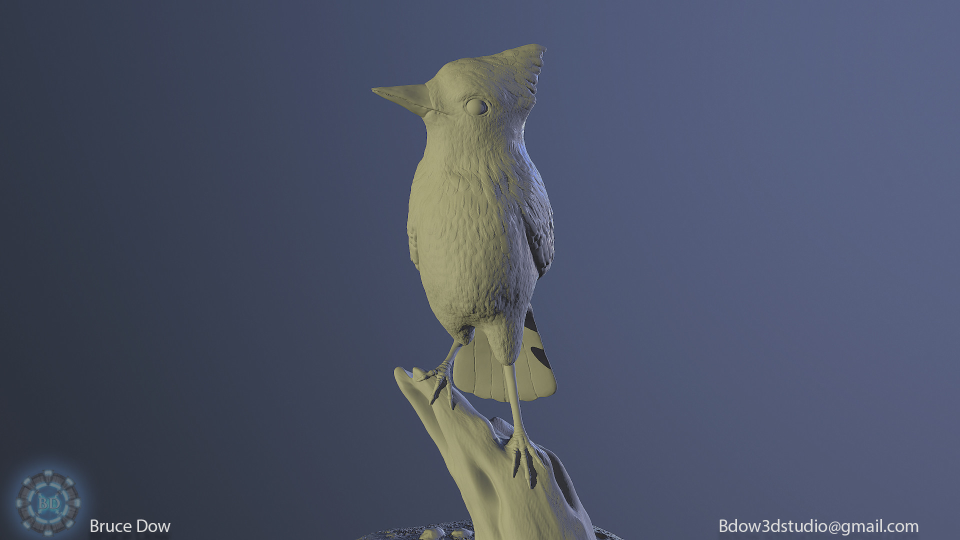 ArtStation - The Bird