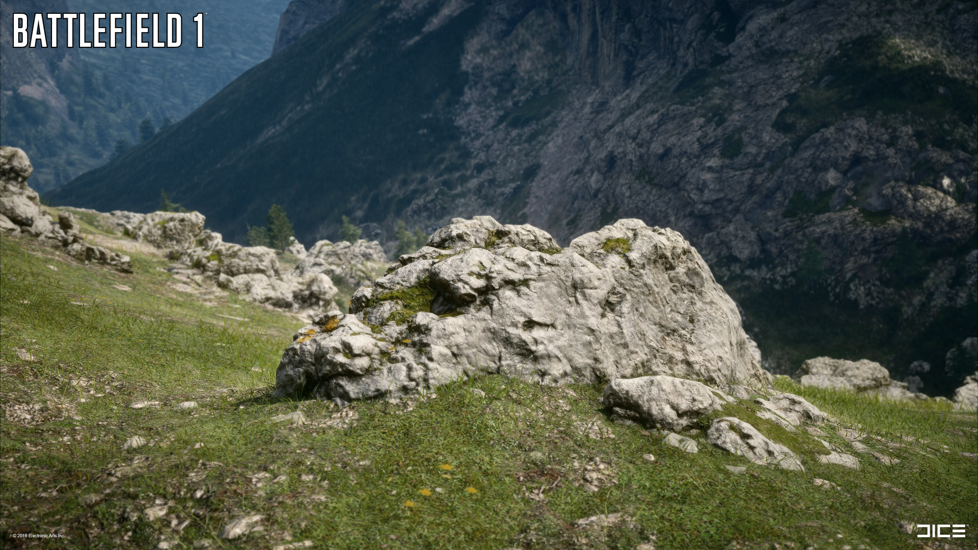 battlefield photogrammetry