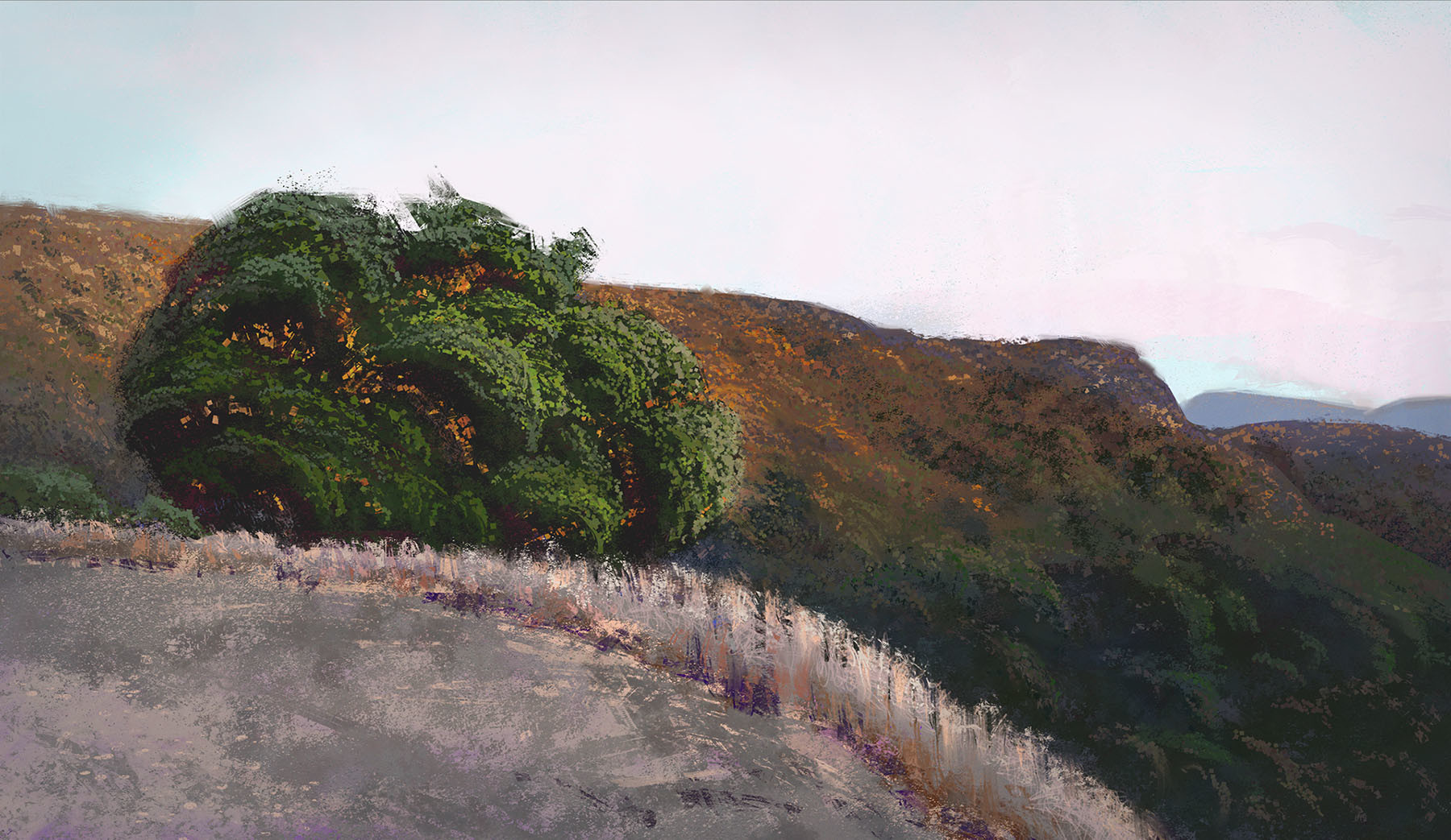 ArtStation - View from Bear Creek Road