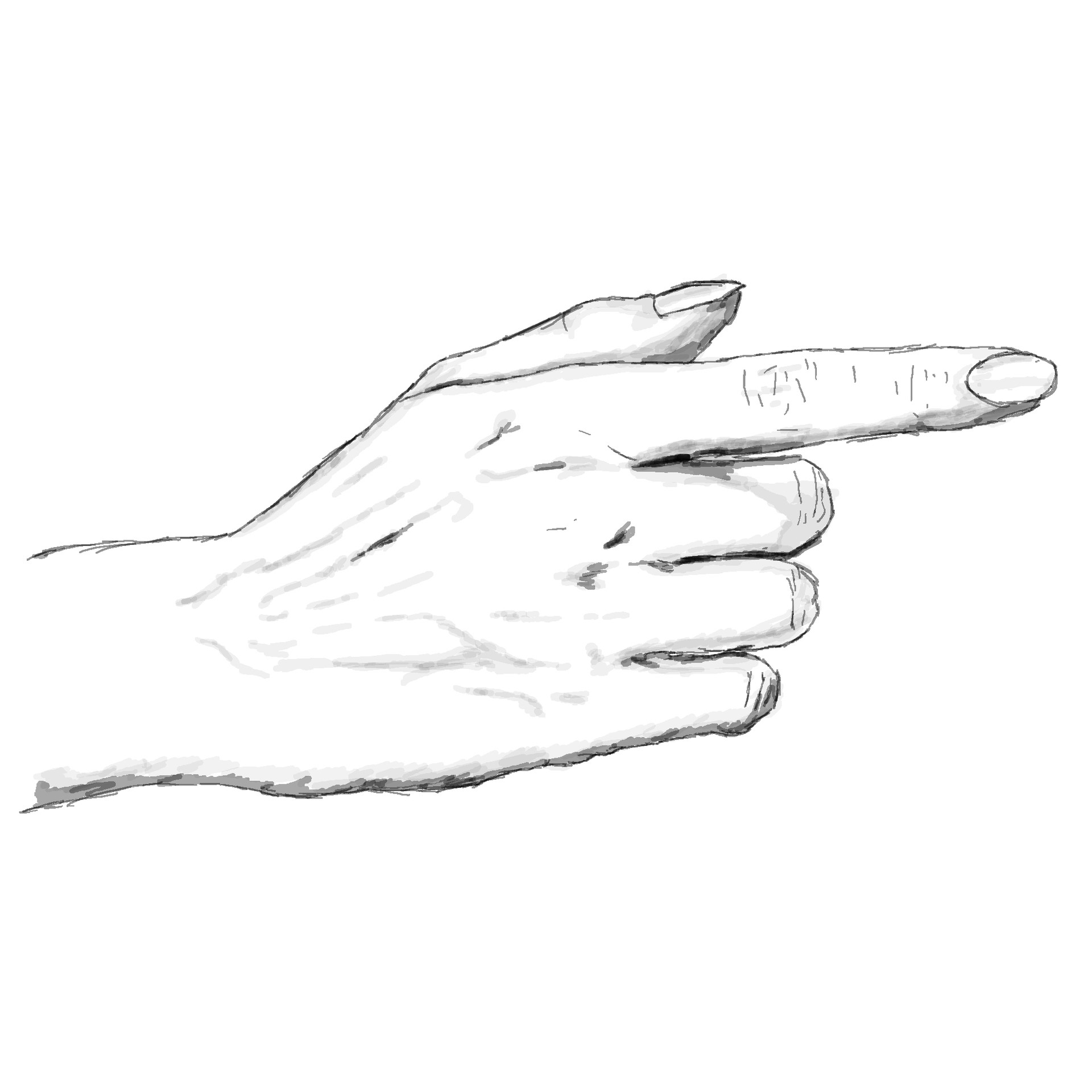 ArtStation - Hand Study