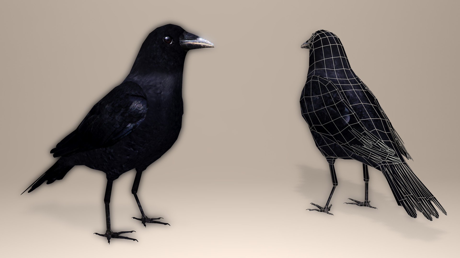 ArtStation - 3D Crow
