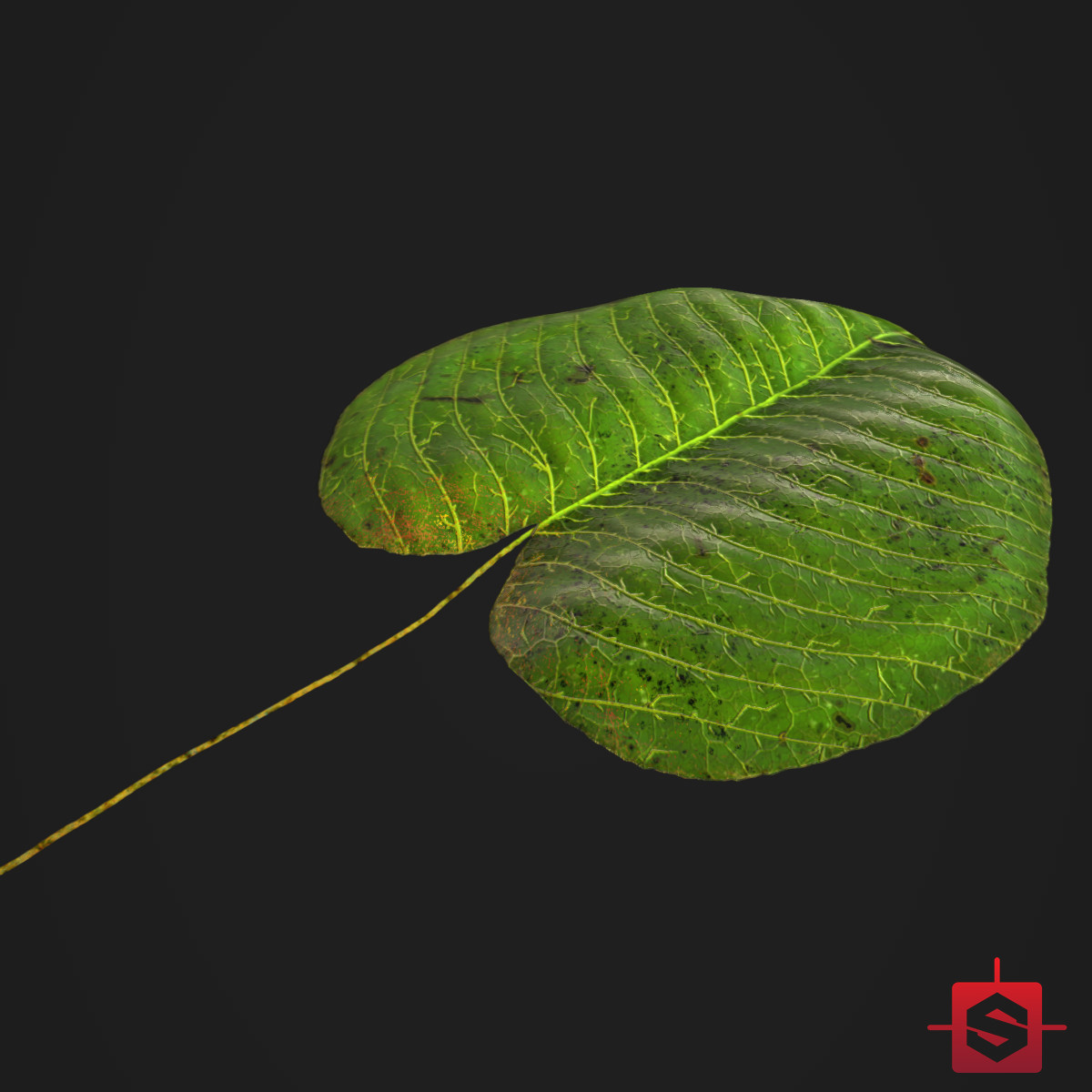 Jorge Corona - Procedural Leaf Generator