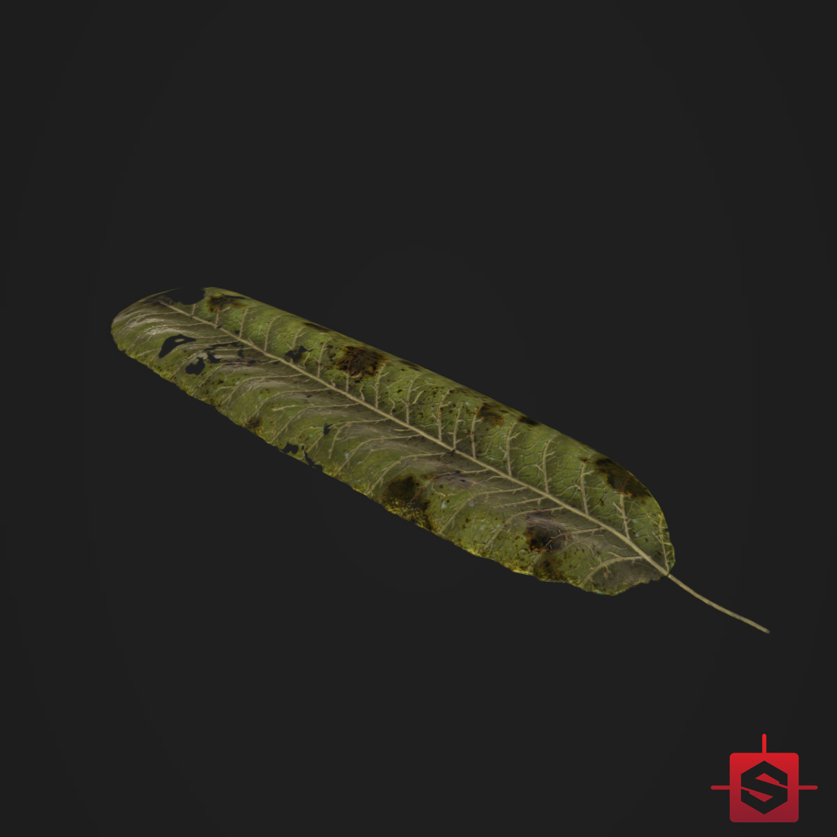 Jorge Corona - Procedural Leaf Generator