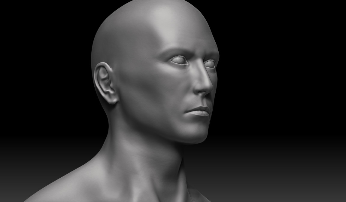 ArtStation - Male Bust