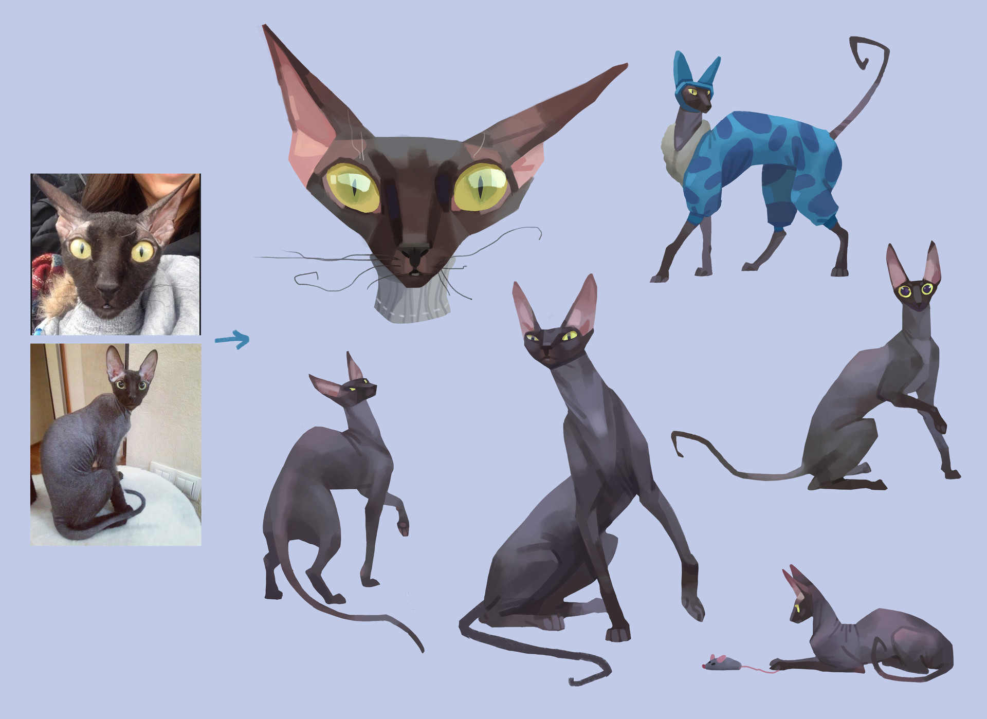 ArtStation - graceful cat