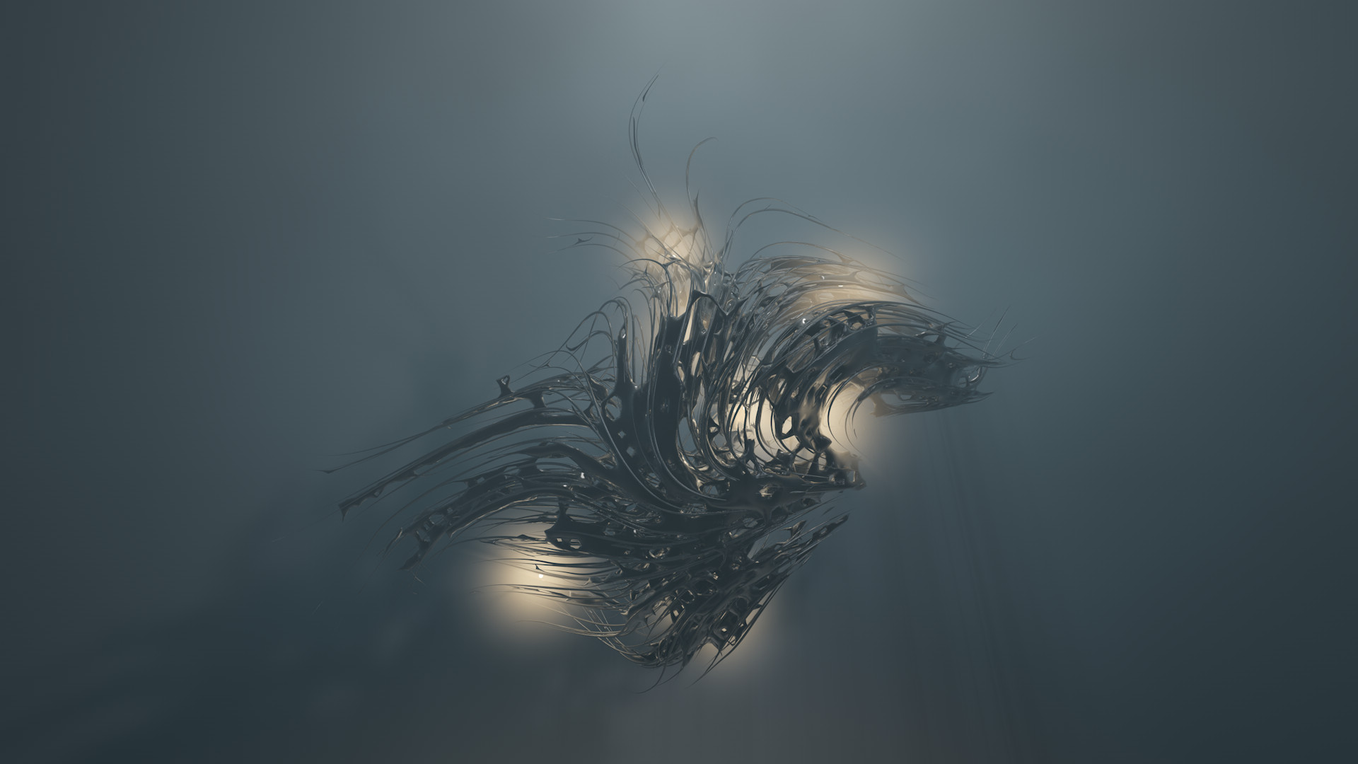 Timothy Rice - Skinning Trails