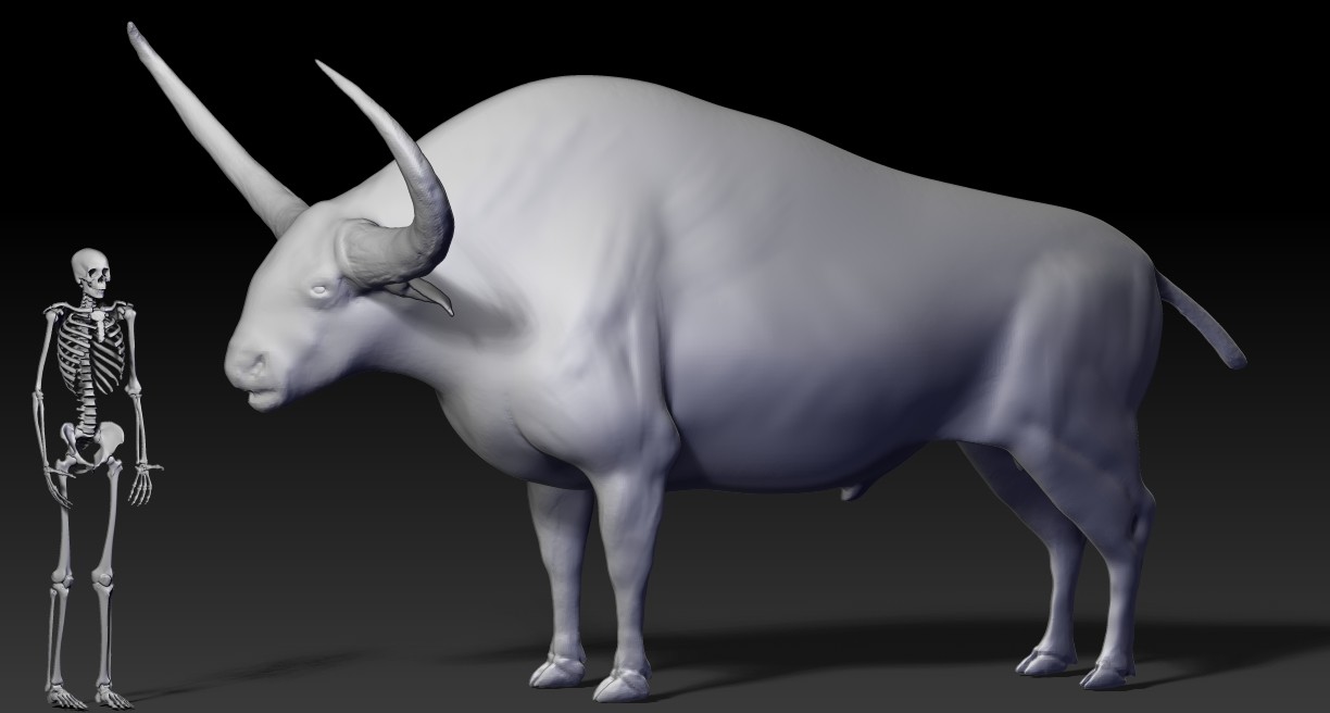 Jesse Pruitt - Natural and Unnatural History