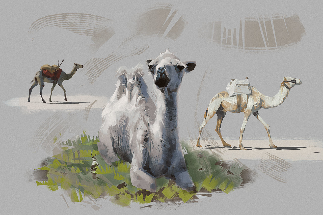 ArtStation - Camel Study