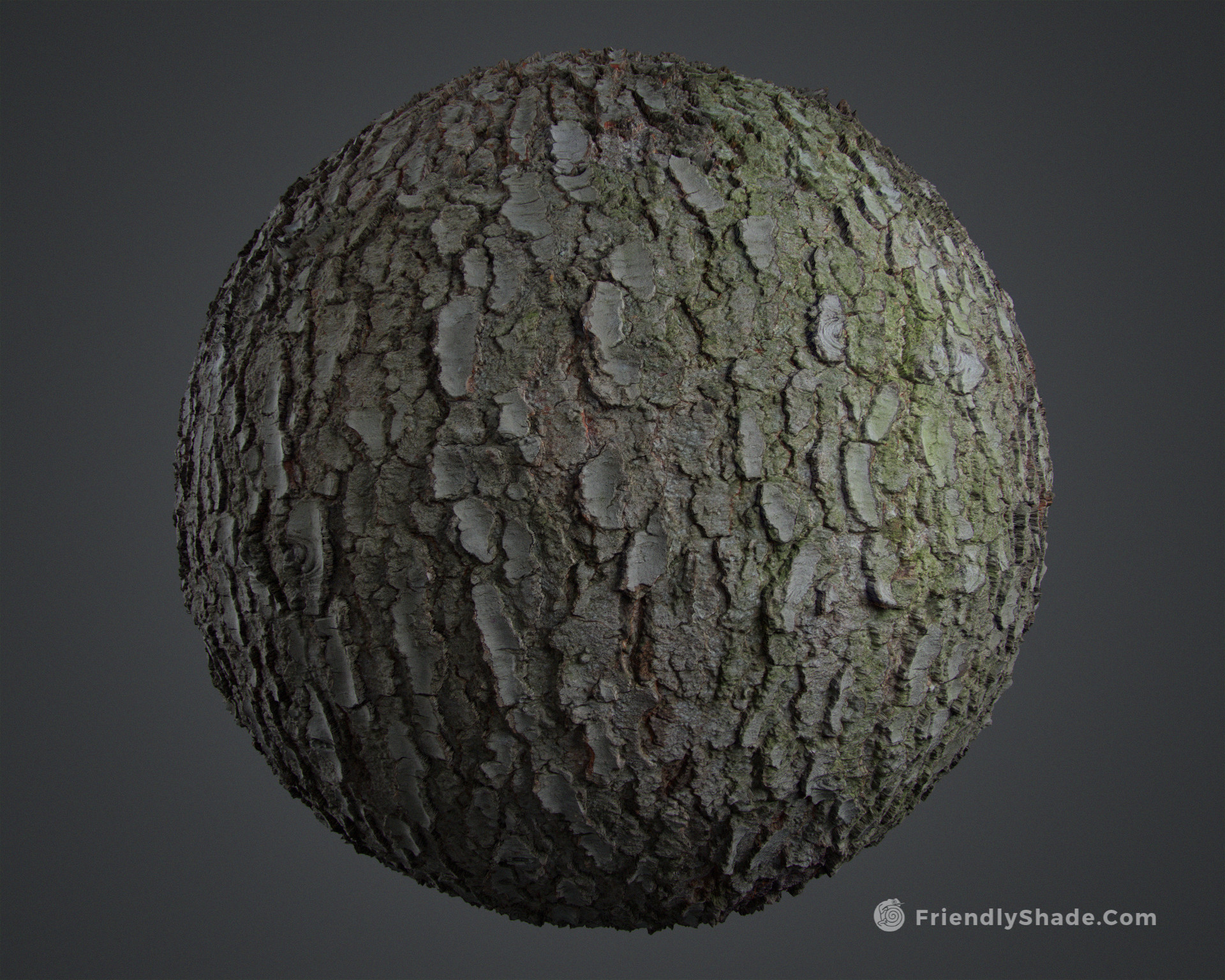 ArtStation - Friendly Shade - Pine Tree Bark Preview