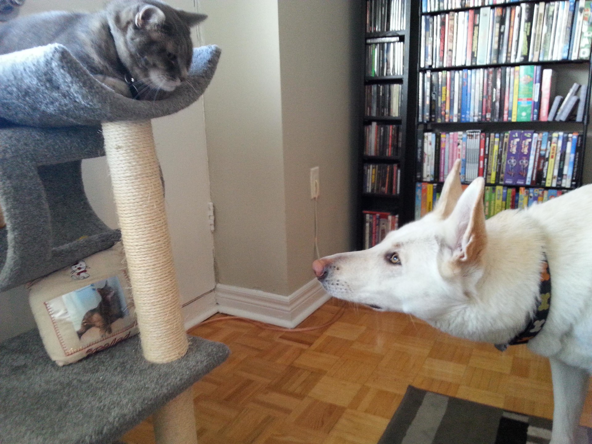 Peter Pienkowski - Some Stupid Phone game I made to try out Unity, fun ...