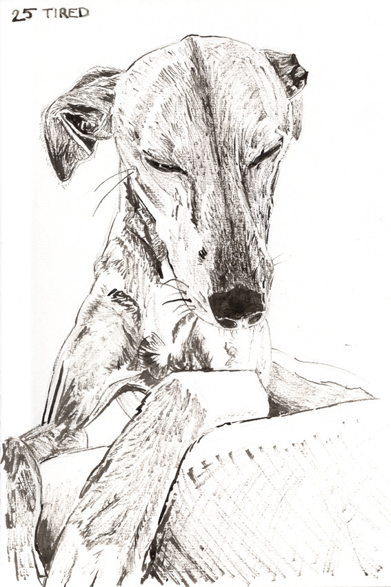 Laura Dawes - Inktober 2016