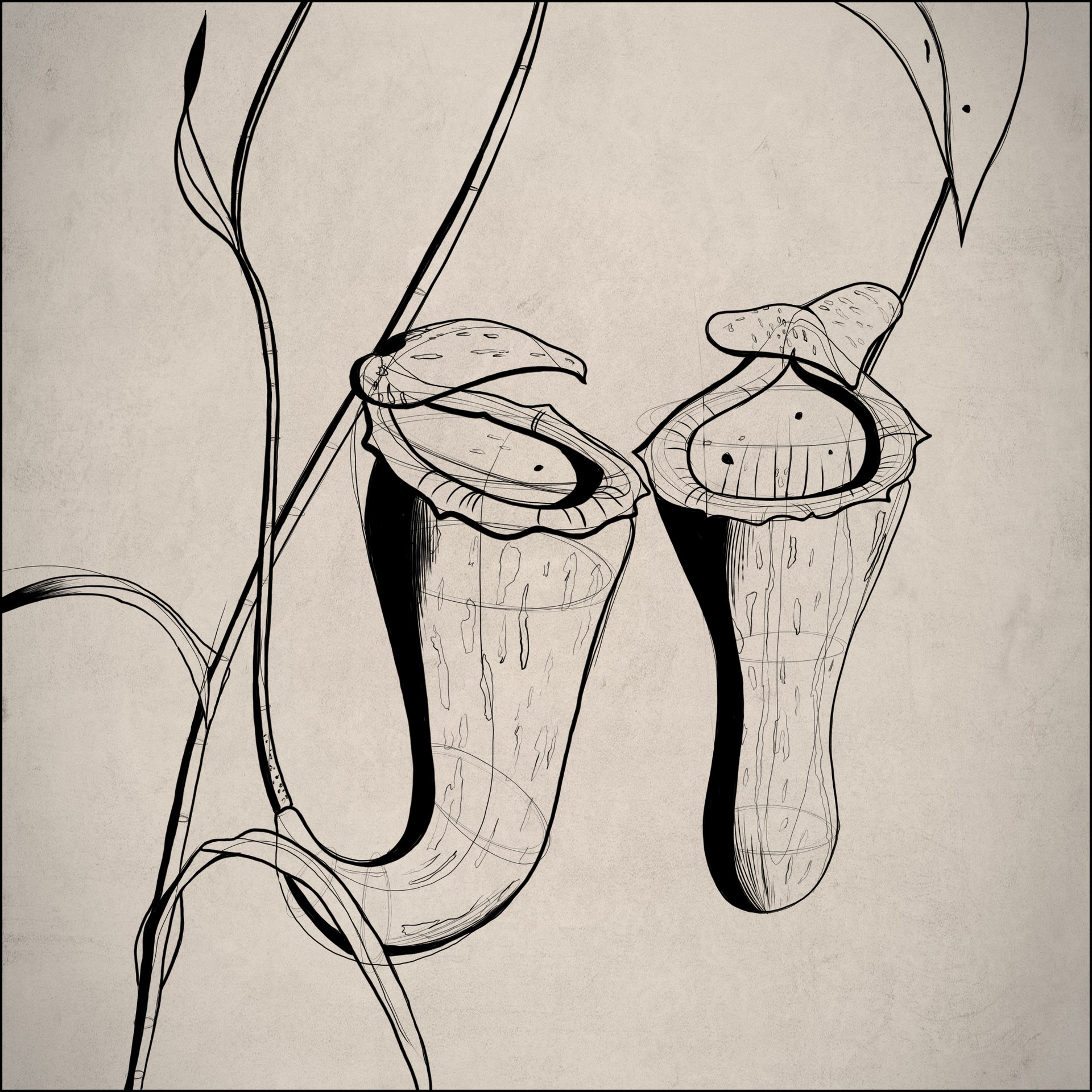 ArtStation - Drawing Plants