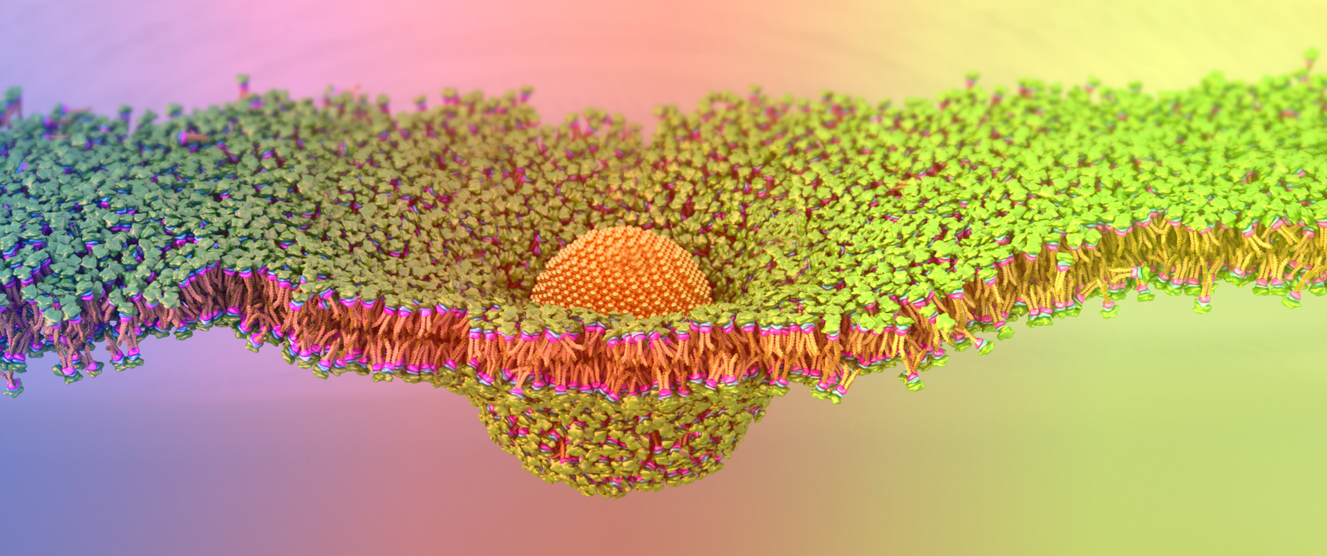 ArtStation - Scott Real Lipids