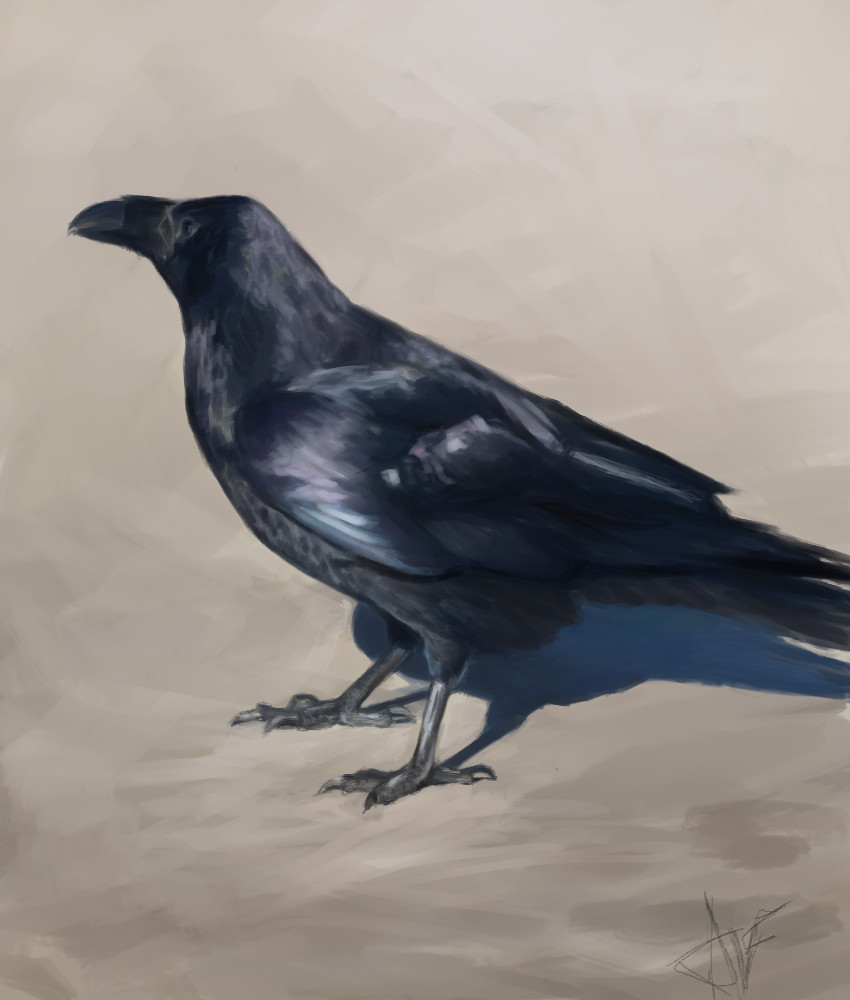 ArtStation - Crow