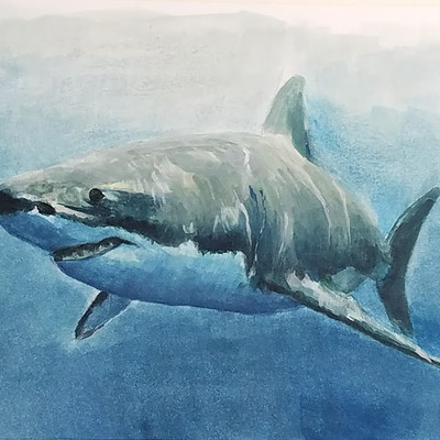 Alison Farmer - Portfolio