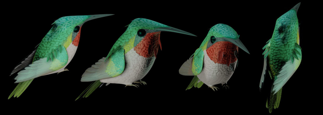 ArtStation - 3D Art Hummingbird