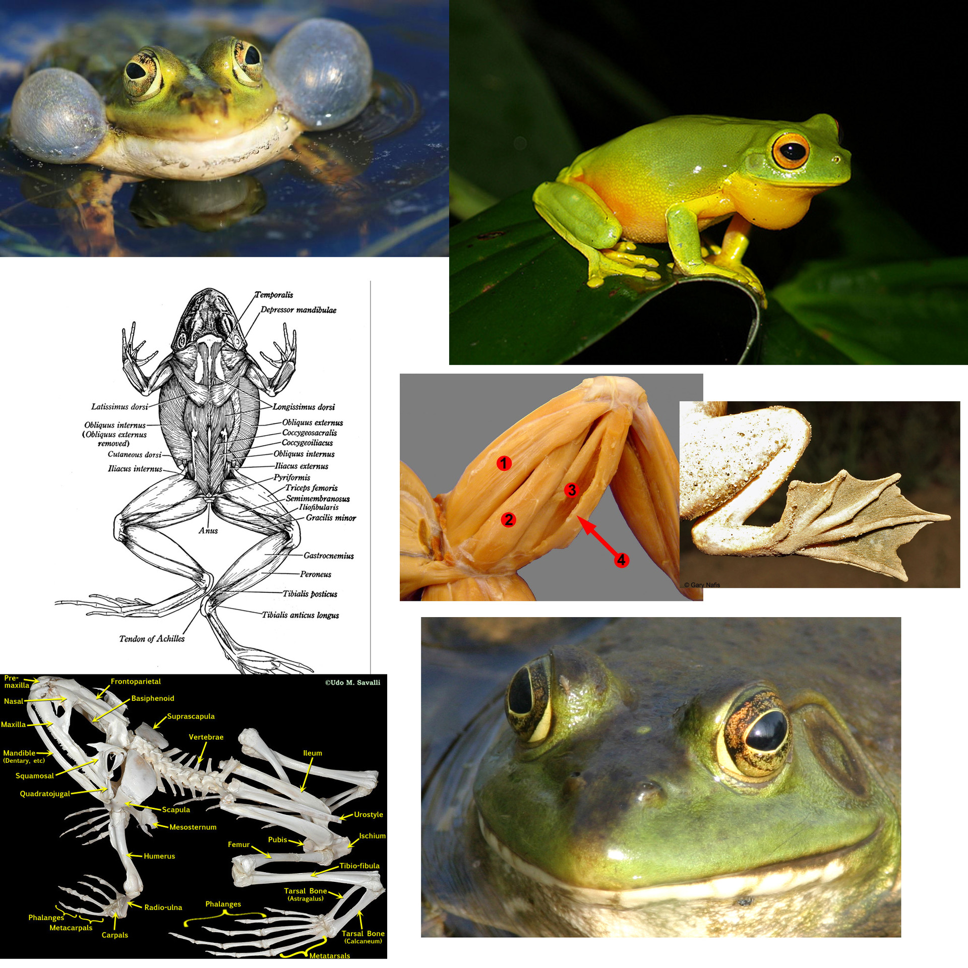 Kenneth Chan - Digipen Art101 Classes