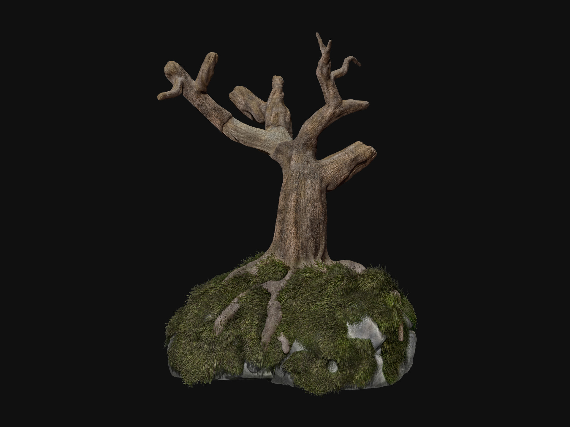 ArtStation - stylized tree